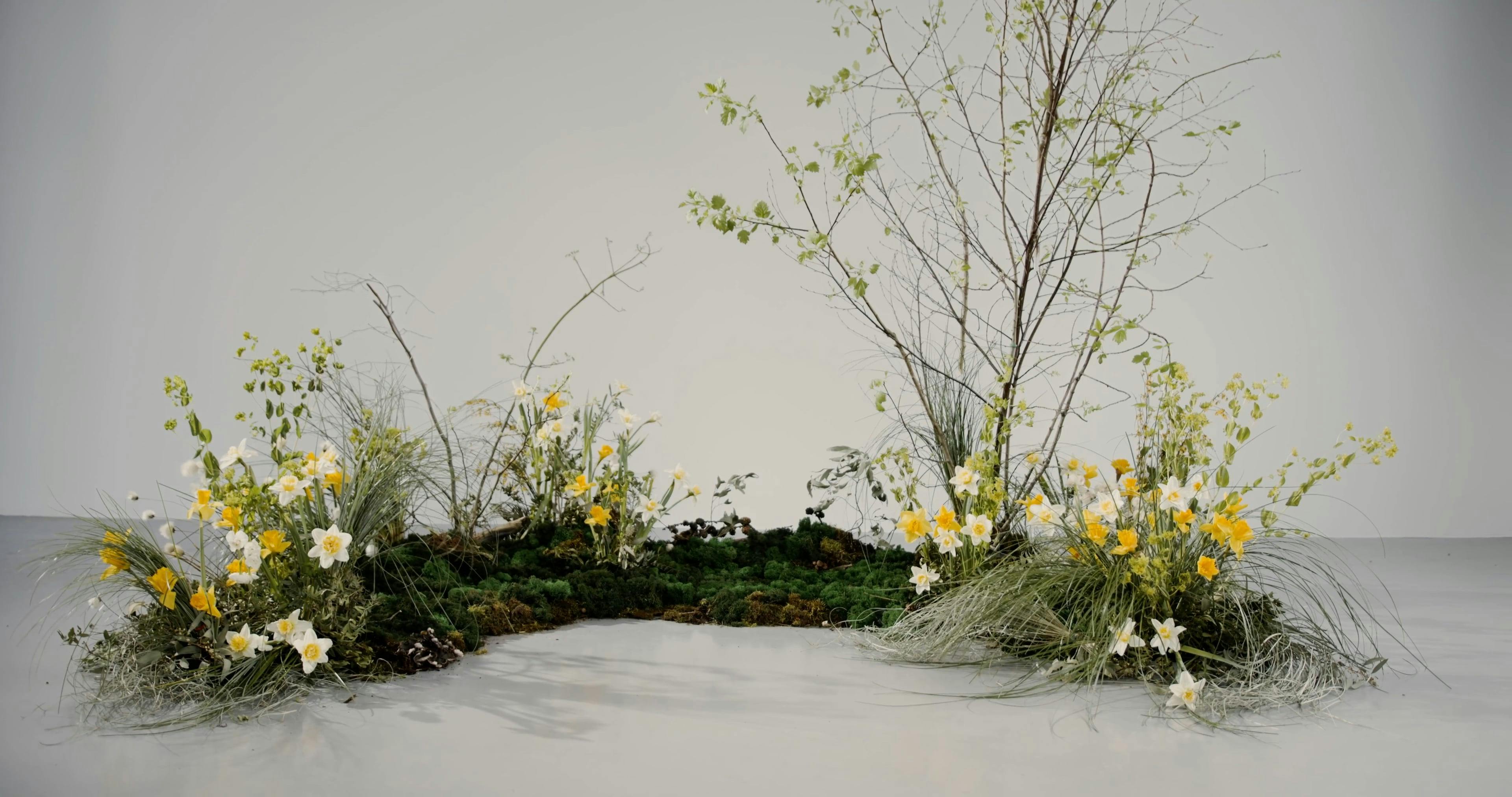 Los mejores 2000+ vídeos de Dig In Dirt · Banco de Imágenes Gratis ...