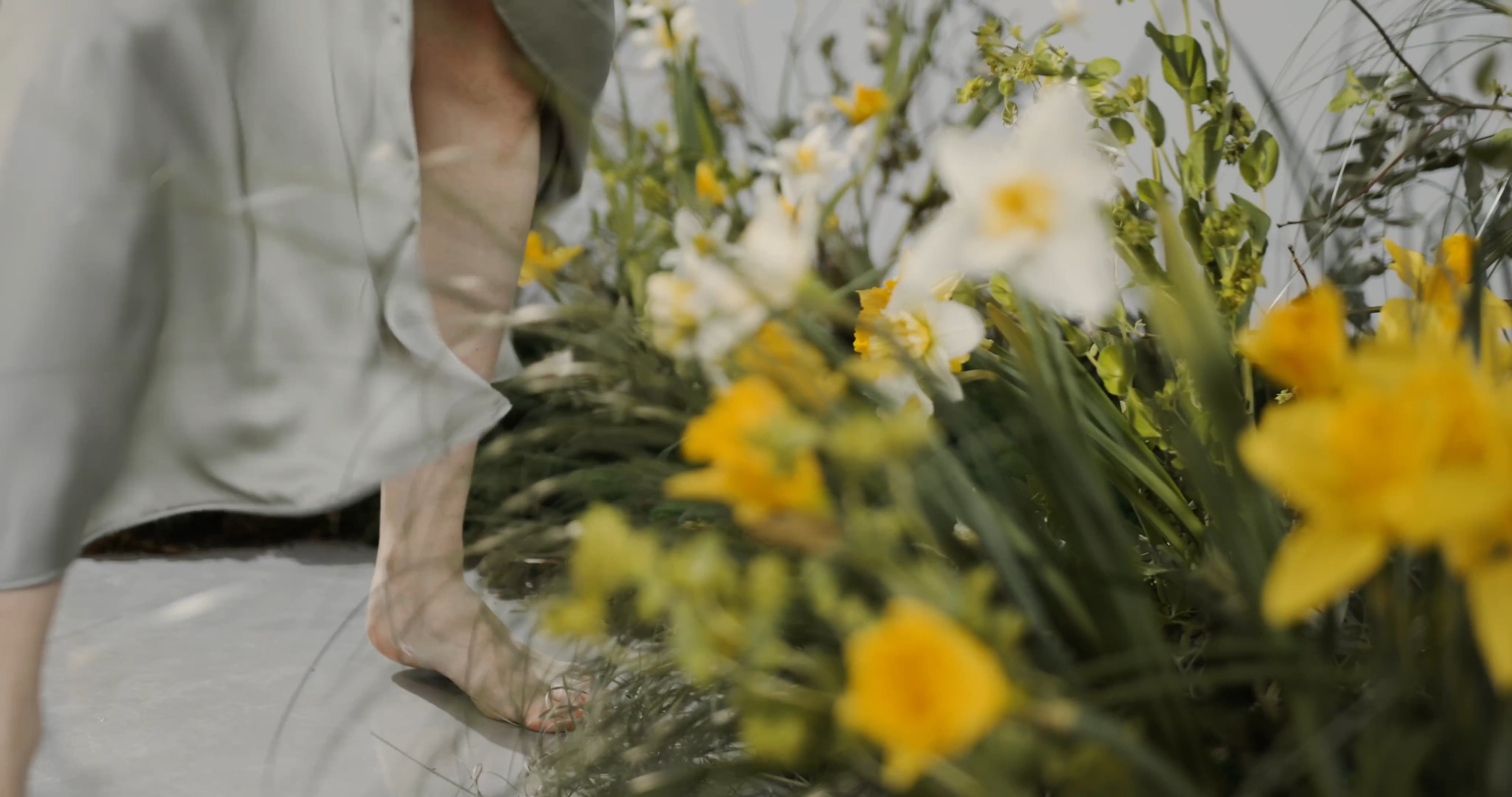 A Person Walking Then Touching the Flowers · Free Stock Video