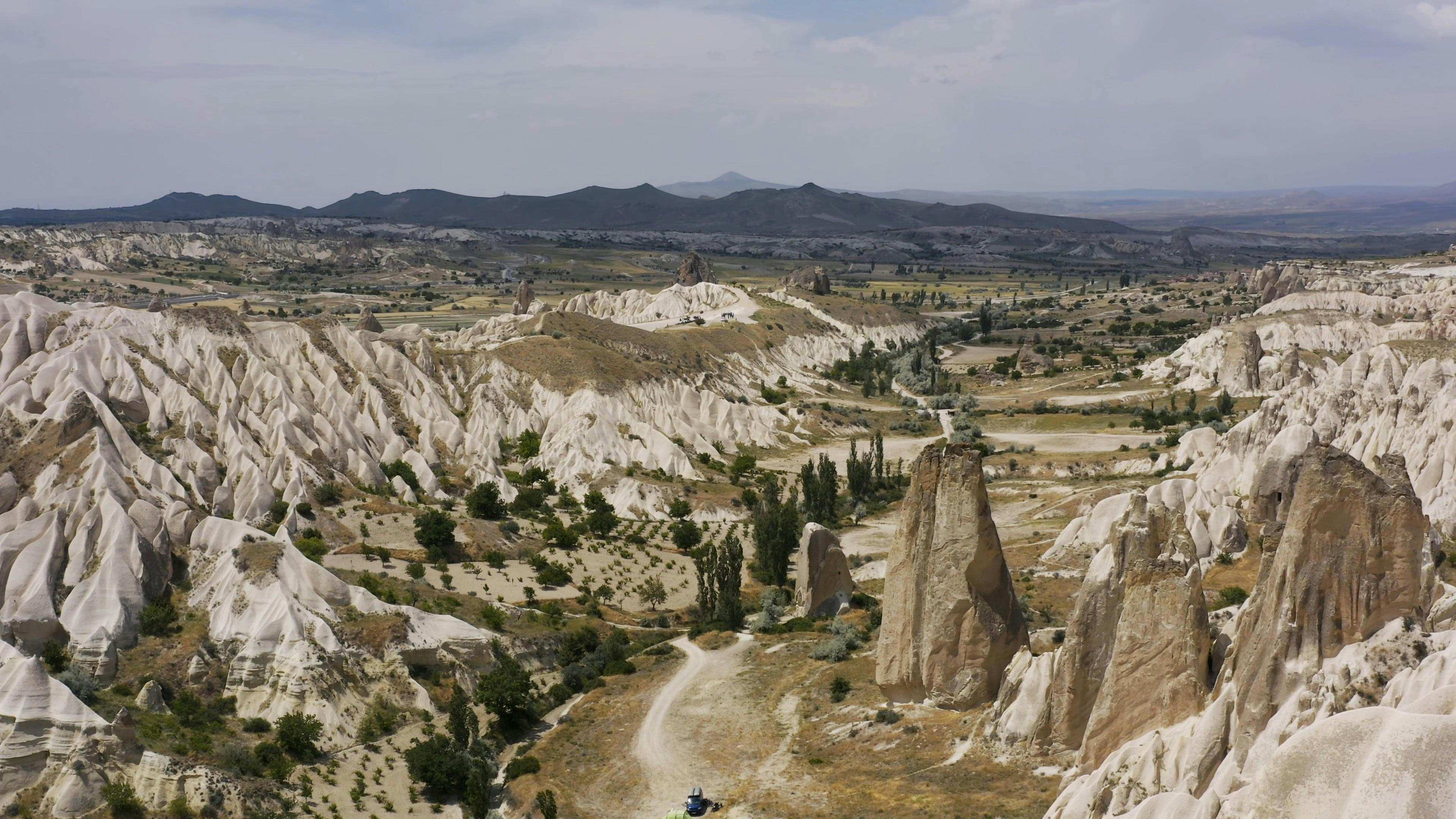 A Jordan Tree Growing Behind A Boulder Of Rocks Free Stock Video ...