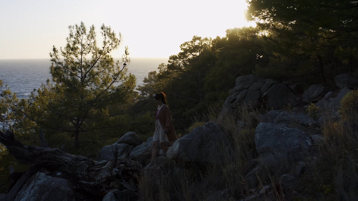 Log Footage Videos, Download The BEST Free 4k Stock Video Footage & Log ...