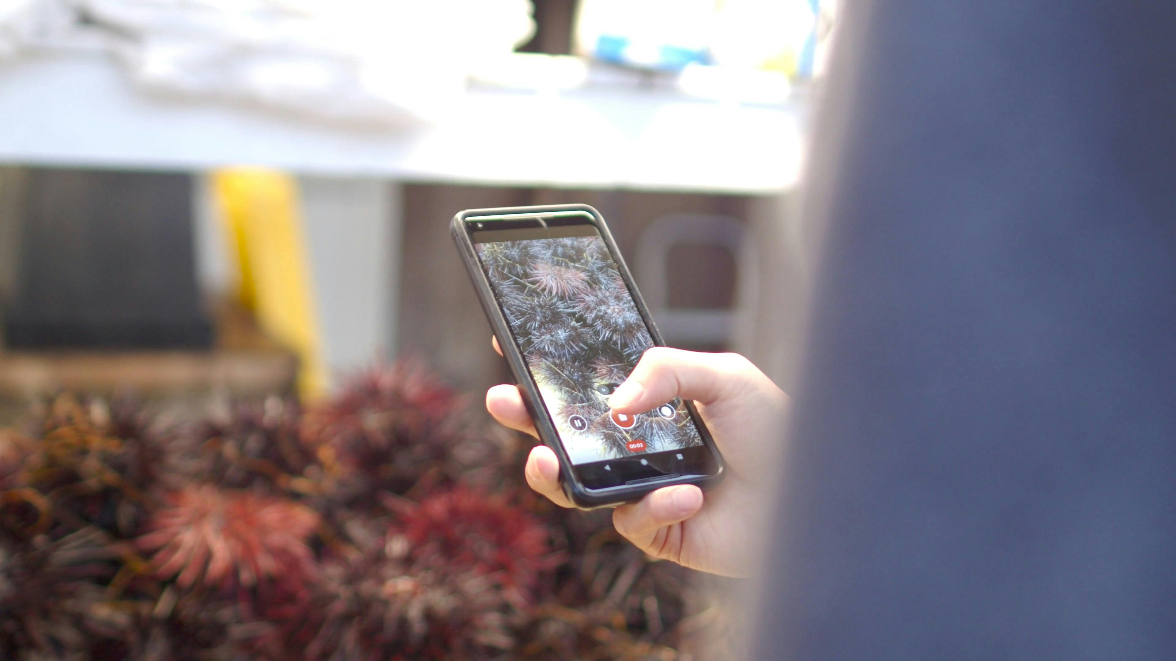 Raw Camera Videos, Download The BEST Free 4k Stock Video Footage & Raw ...