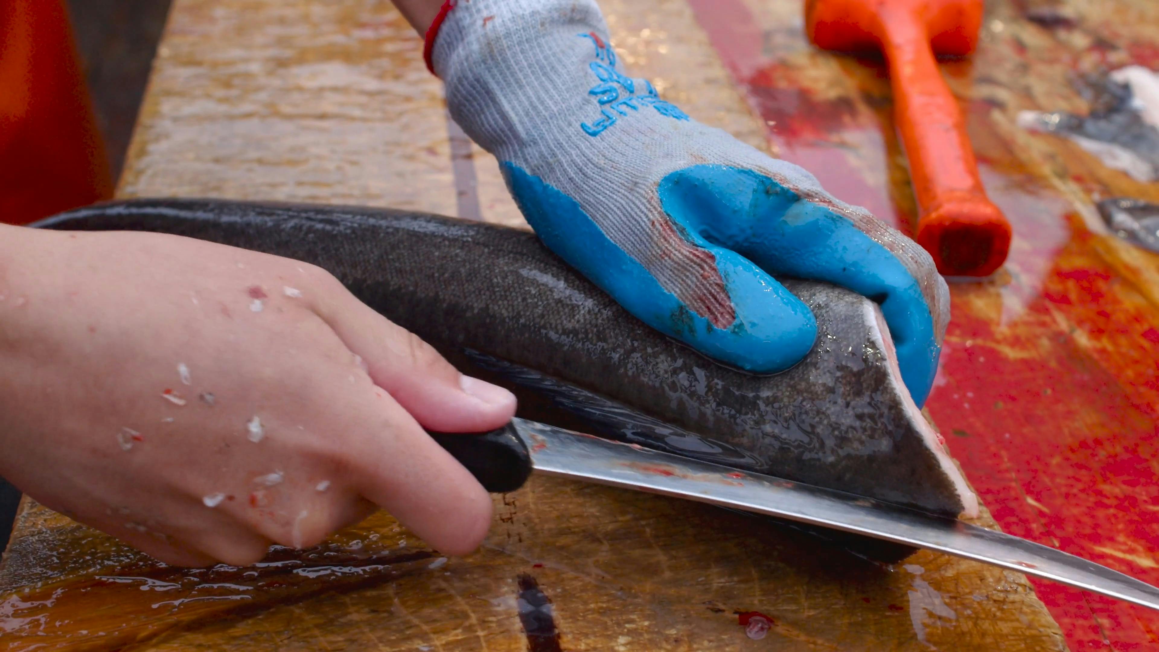 Scale Board Videos, Download The BEST Free 4k Stock Video Footage ...