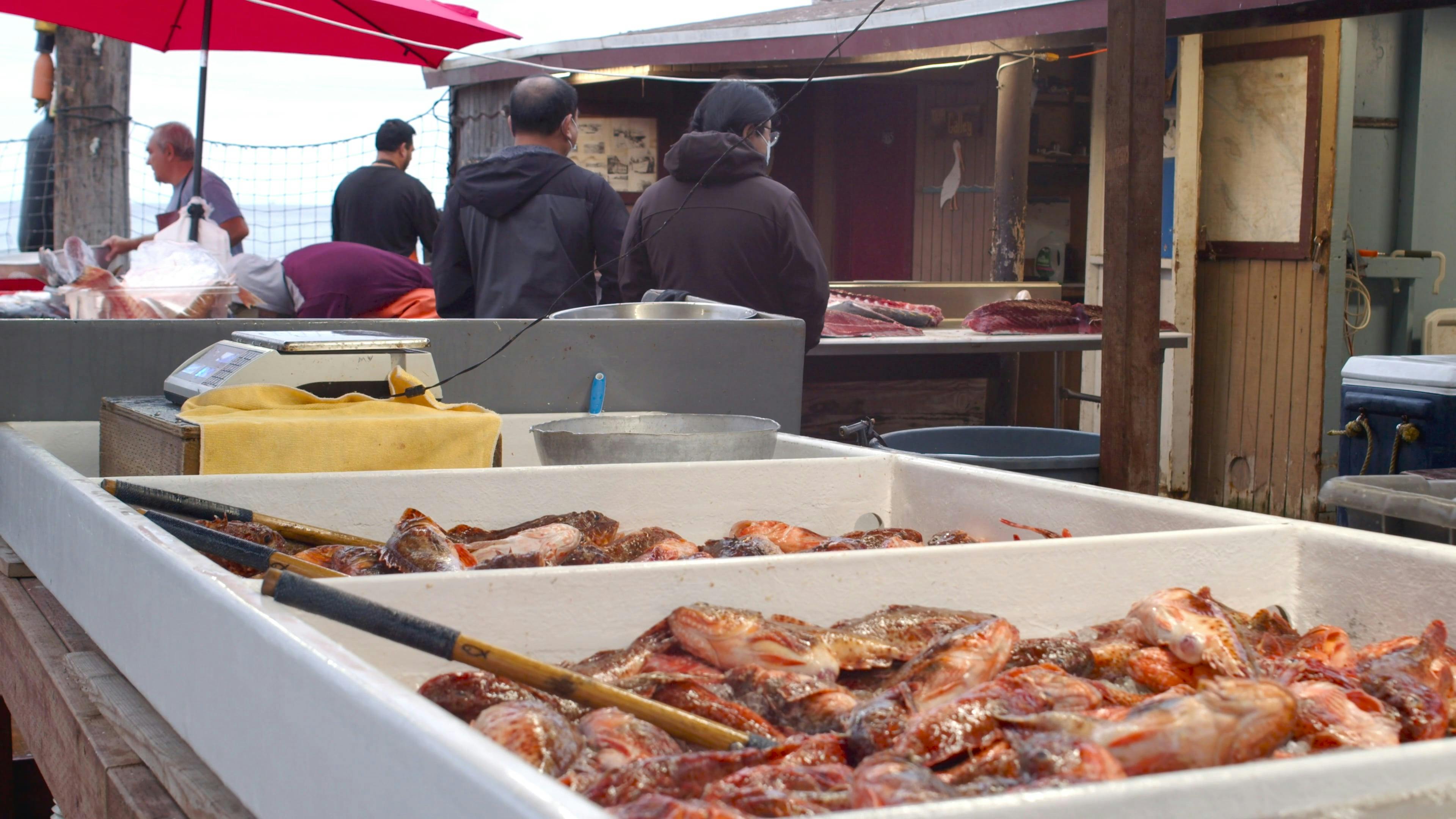 Busy People on a Fish Market Free Stock Video Footage, Royalty-Free 4K ...