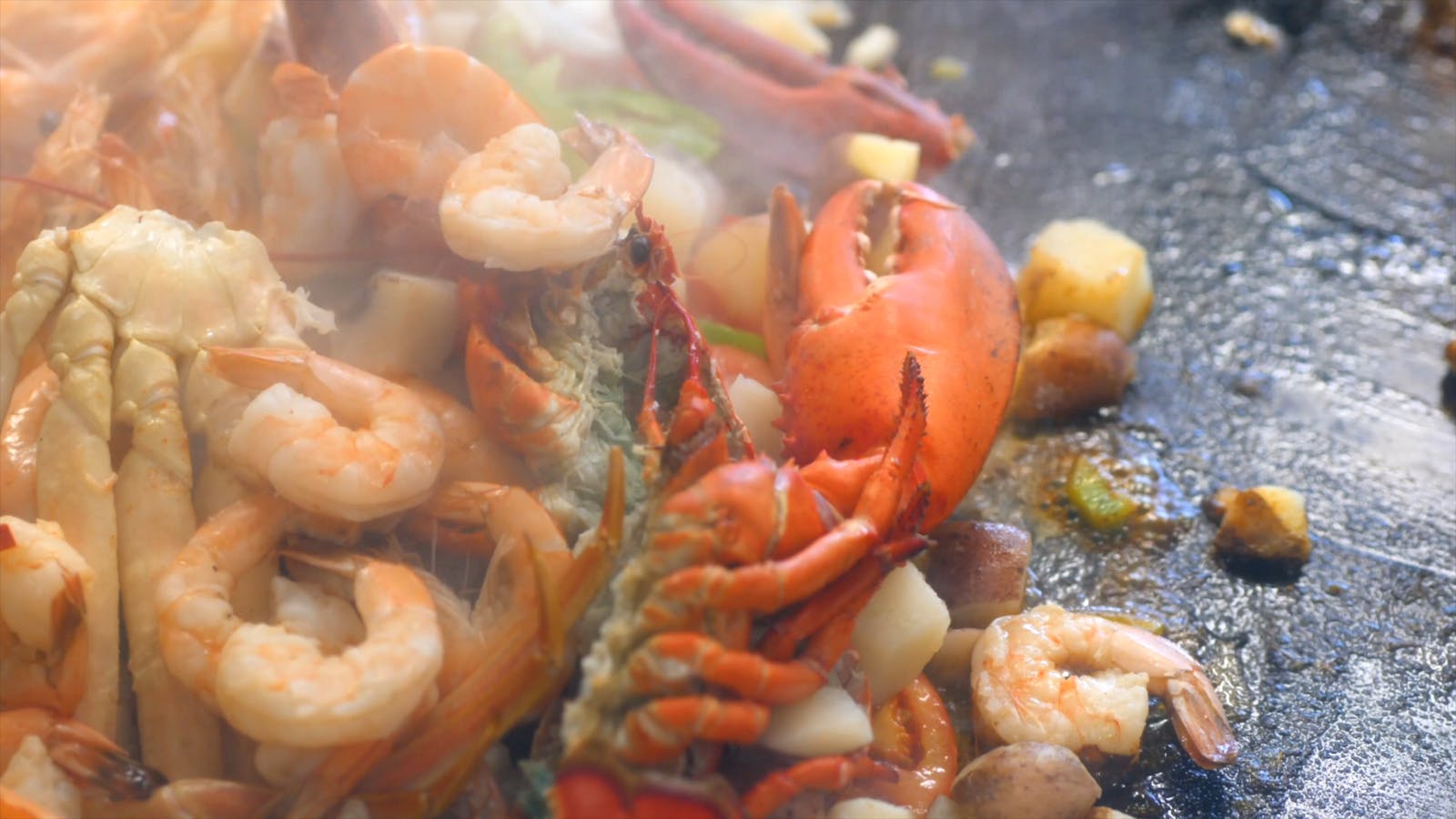 Shellfish Videos, Download The BEST Free 4k Stock Video Footage ...