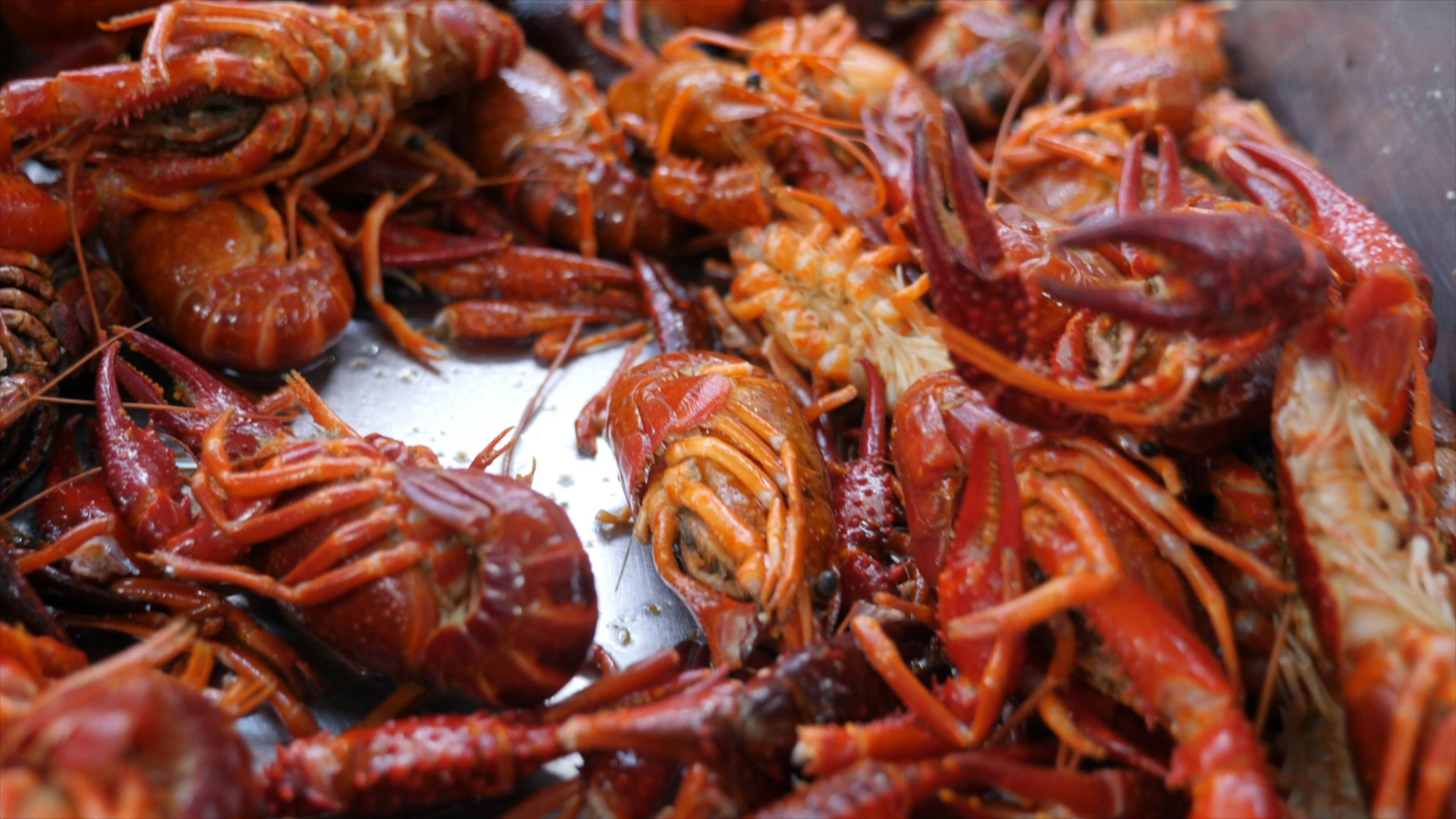 Cooked Crayfish Free Stock Video Footage, Royalty-Free 4K & HD Video Clip
