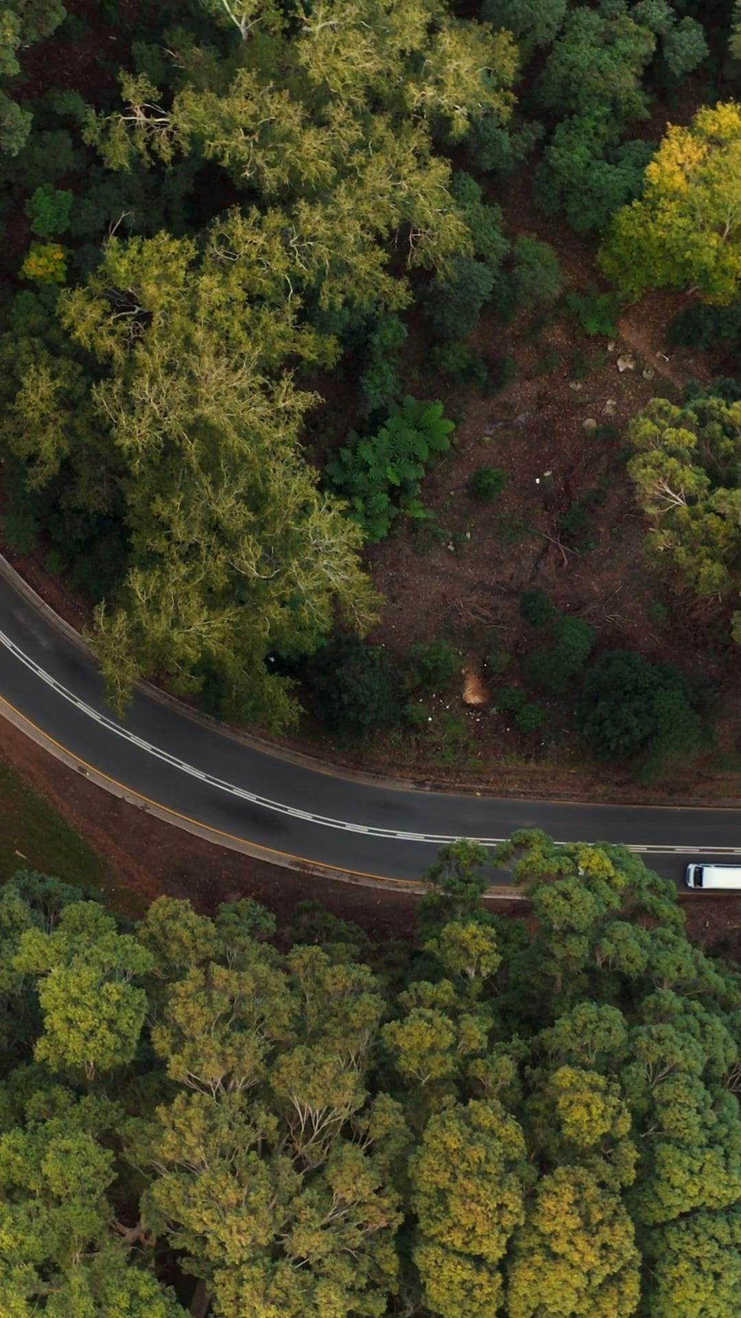 Birds Eye View of Plain Terrain Free Stock Video Footage, Royalty-Free ...