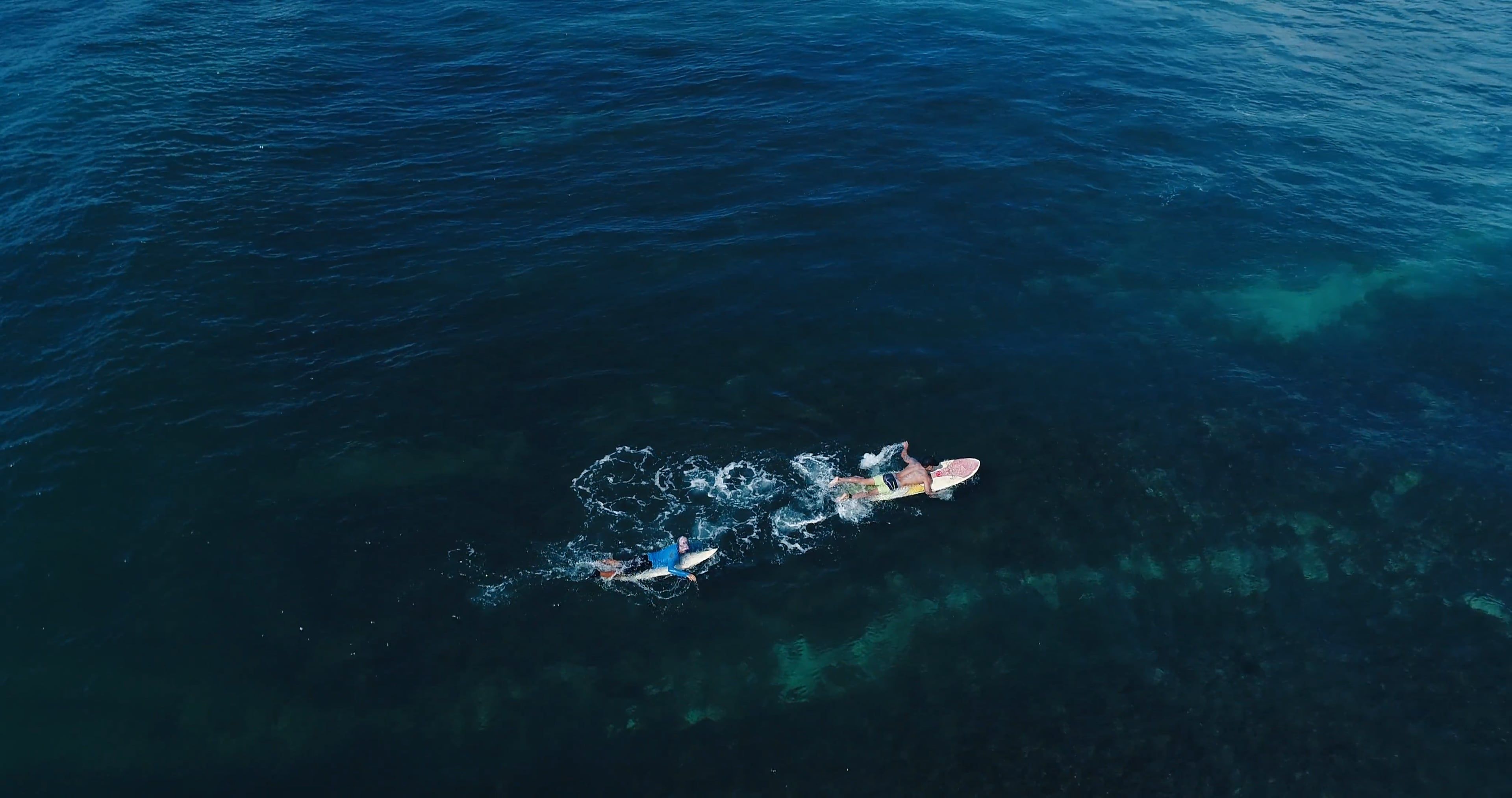 People Surfing on the Water Free Stock Video Footage, Royalty-Free 4K ...