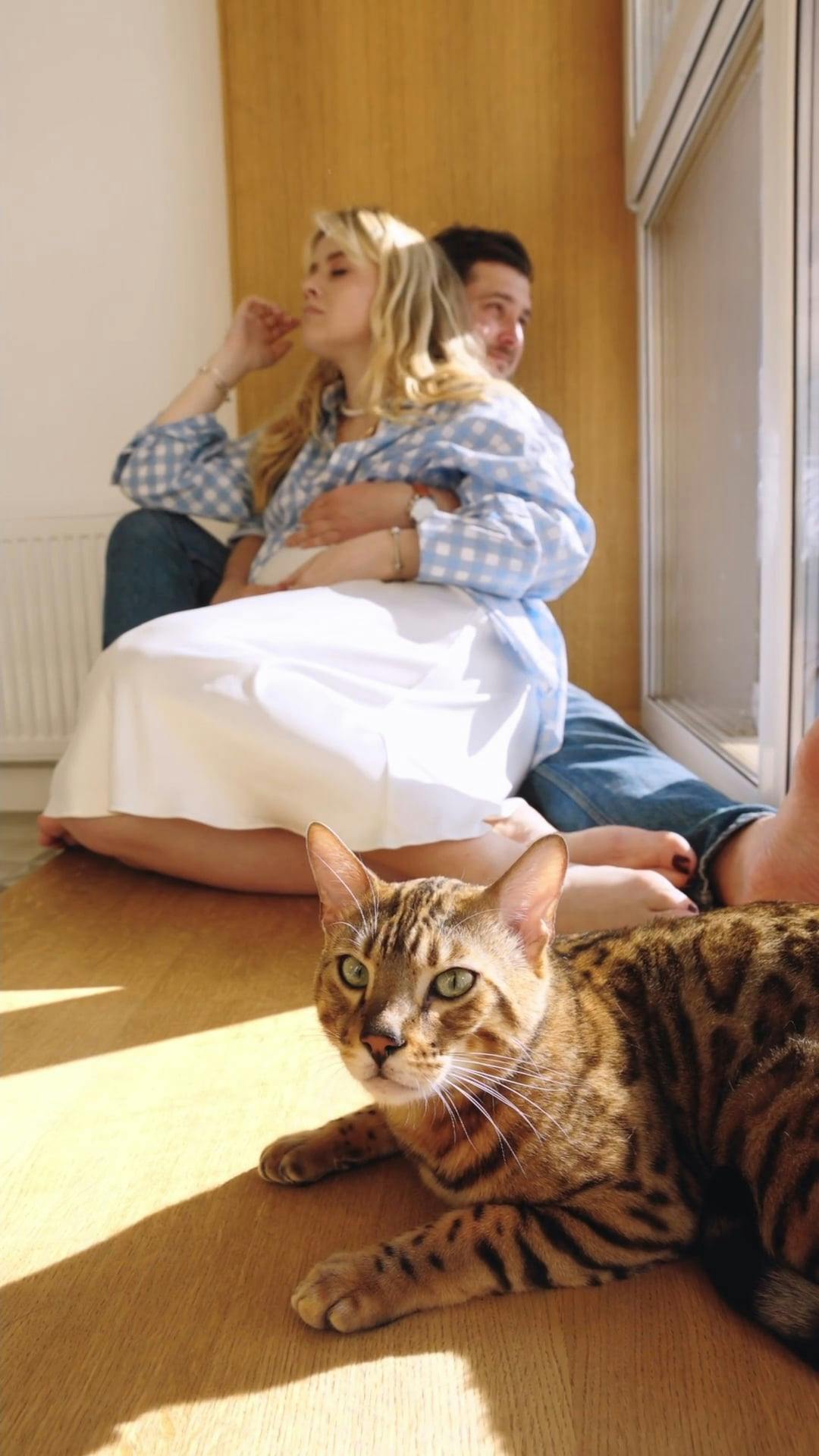 A Couple Together at Home with Their Pet Cat · Free Stock Video