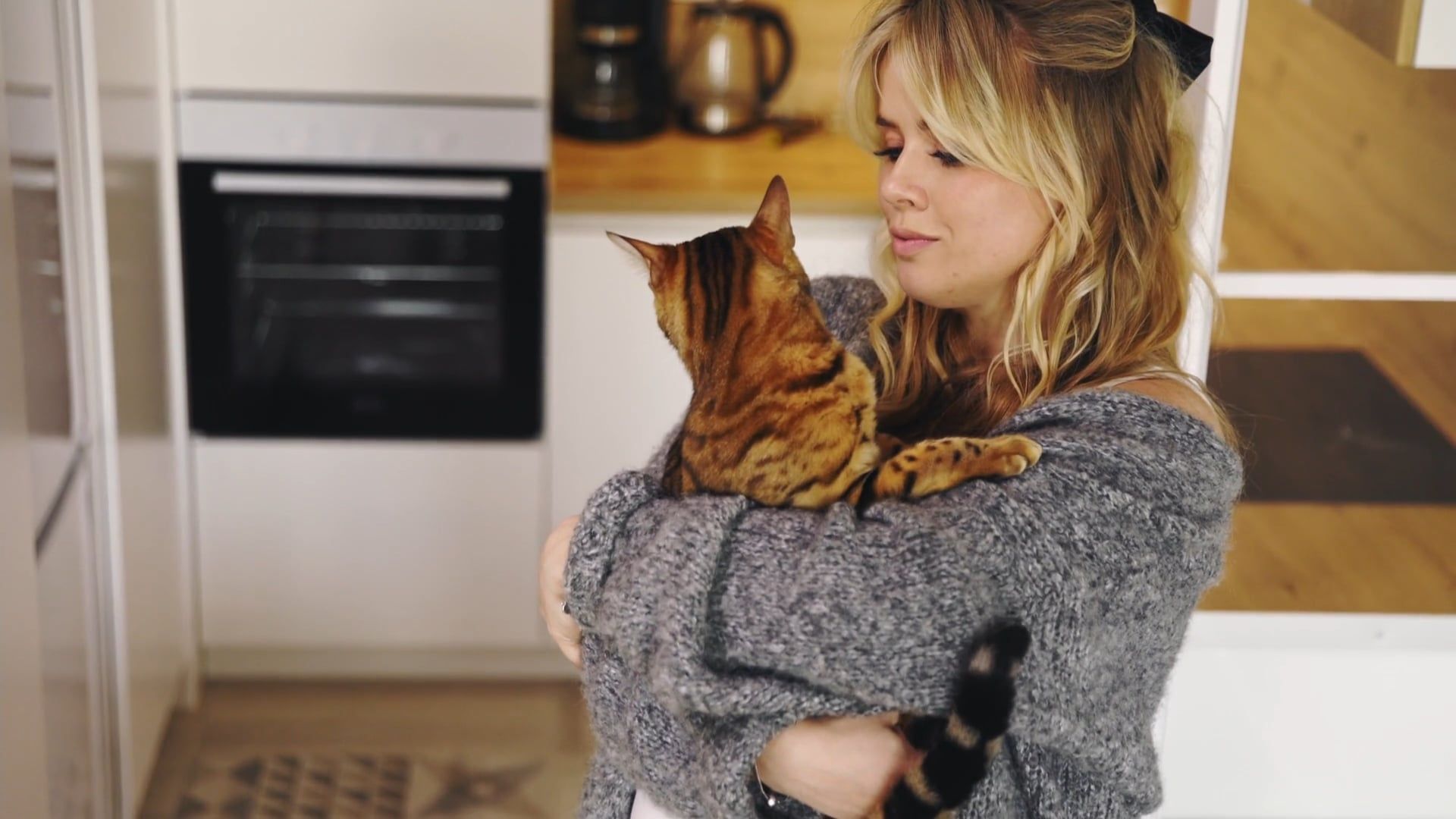 Domestic Bengal Videos, Download The BEST Free 4k Stock Video Footage ...