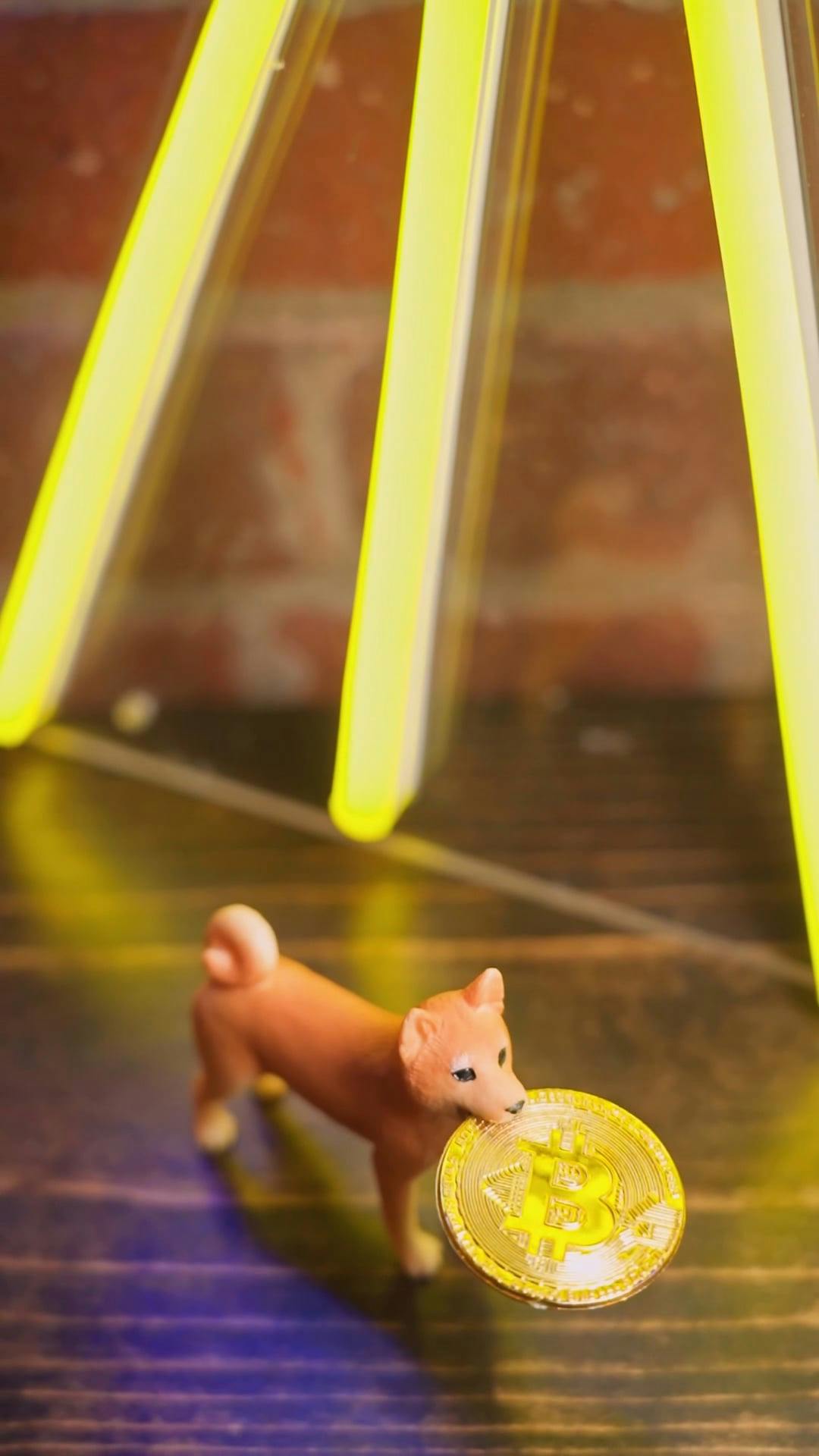 Bitcoin Gold Coins with Financial Chart Background Free Stock Video ...