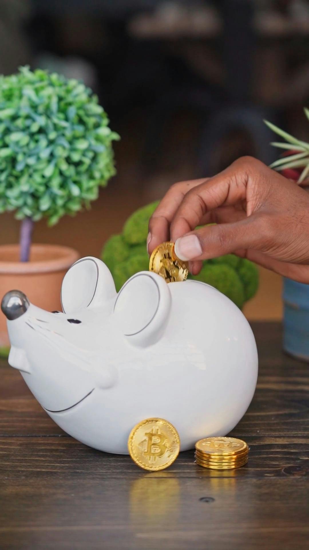 Coin Spinning Free Stock Video Footage, Royalty-Free 4K & HD Video Clip