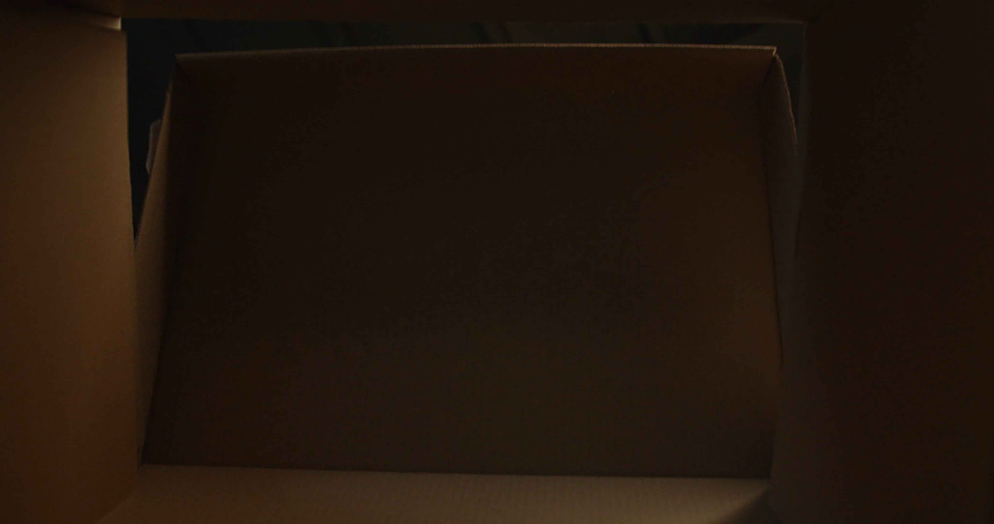Men Looking Inside a Cardboard Box · Free Stock Video