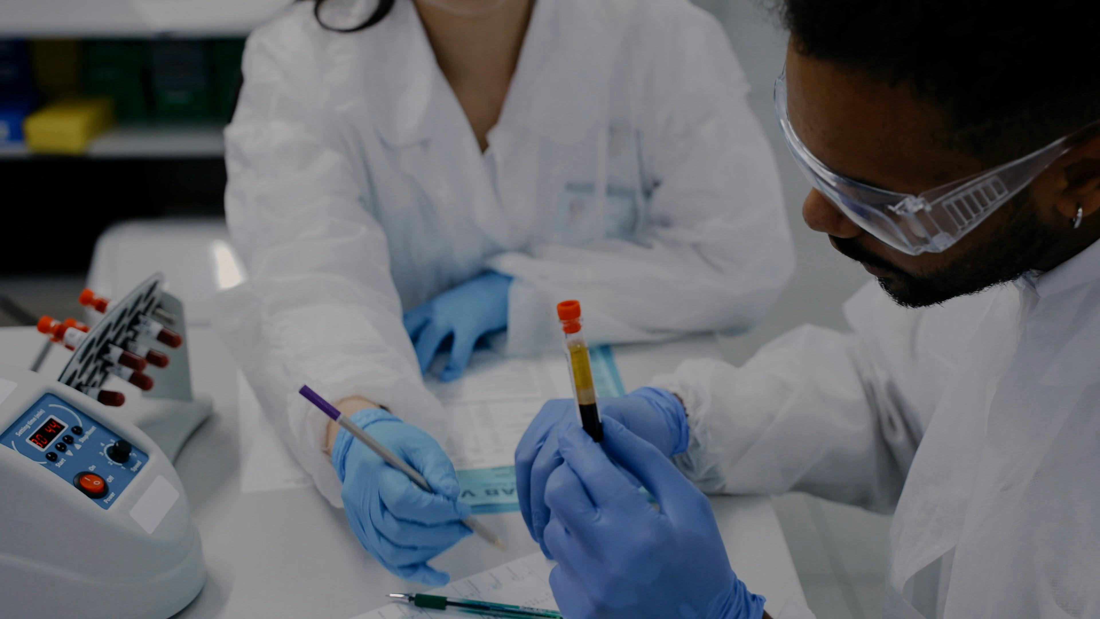 Medical Practitioners Checking the Sample Specimen · Free Stock Video
