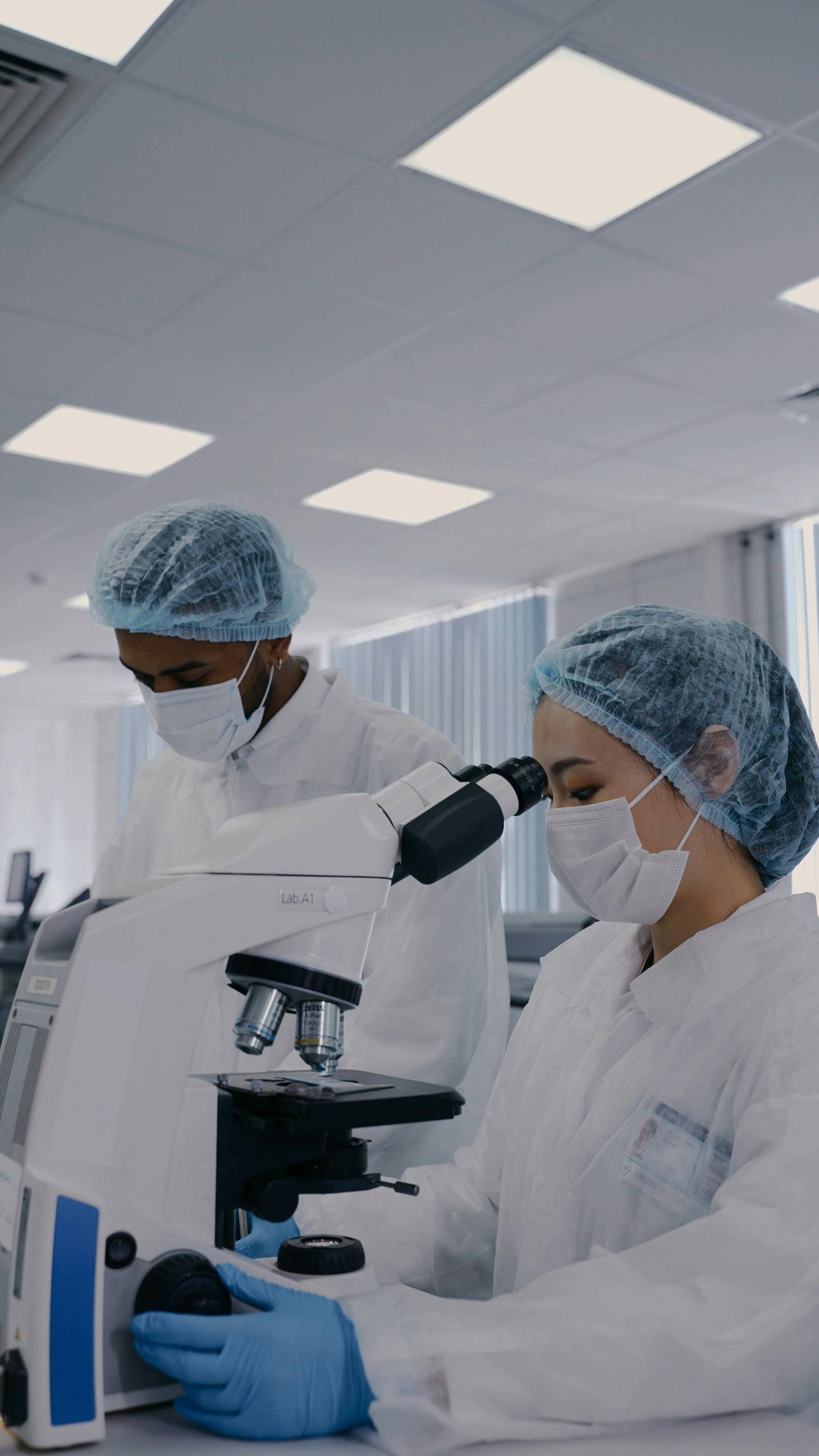 A Microbiologist Observing a Specimen Through a Microscope Free Stock ...