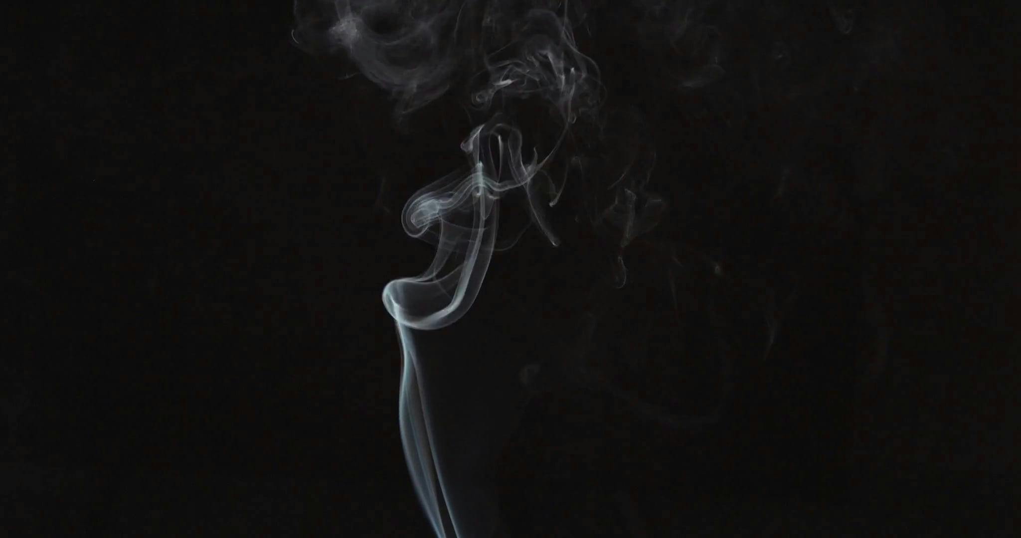 Video stok gratis tentang , abstrak, ambien, asap, asap putih, asap ...