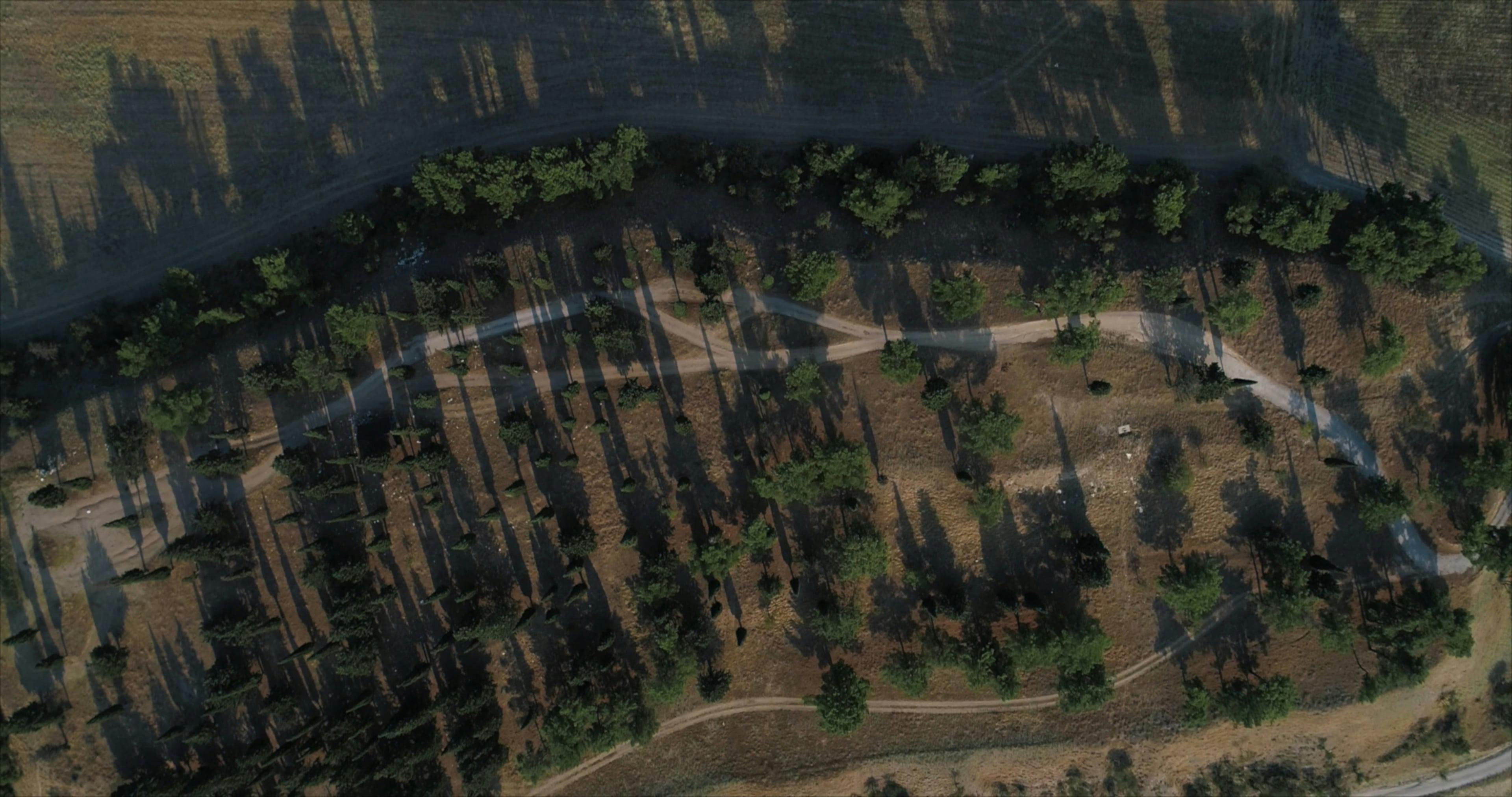 Birds Eye View of Trees Free Stock Video Footage, Royalty-Free 4K & HD ...