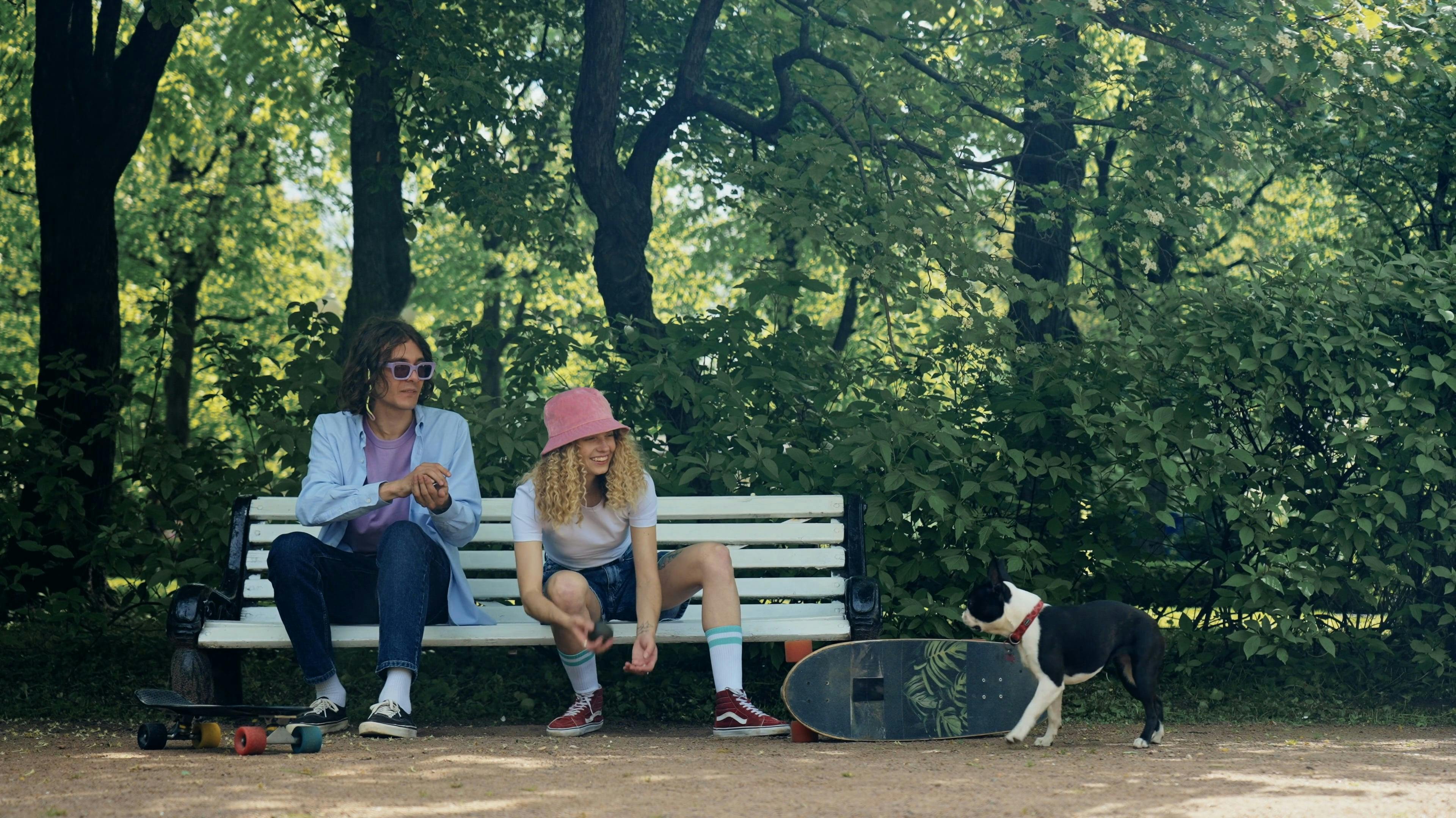 Throwing Ball For Dog Videos, Download The BEST Free 4k Stock Video ...