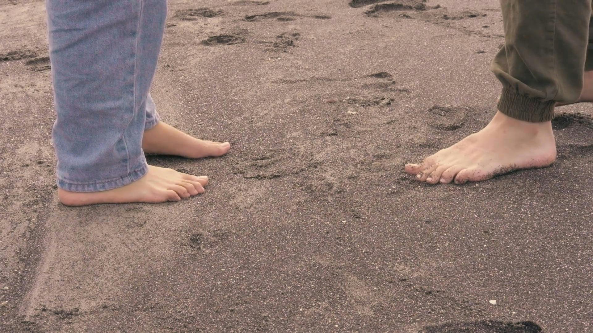 Shared Ground Videos, Download The BEST Free 4k Stock Video Footage & Shared Ground HD Video Clips