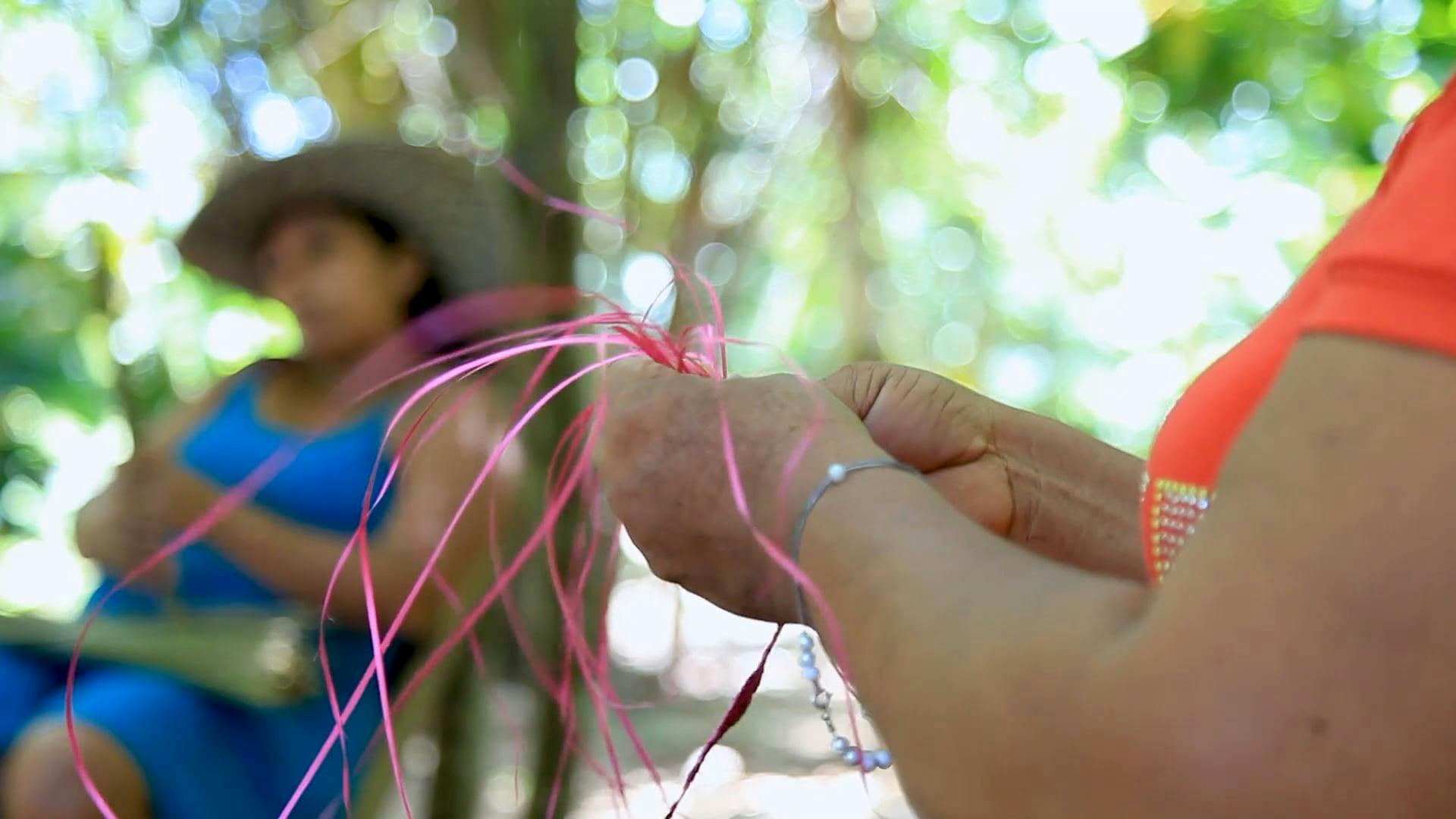 Tree Handcraft Videos, Download The BEST Free 4k Stock Video Footage ...