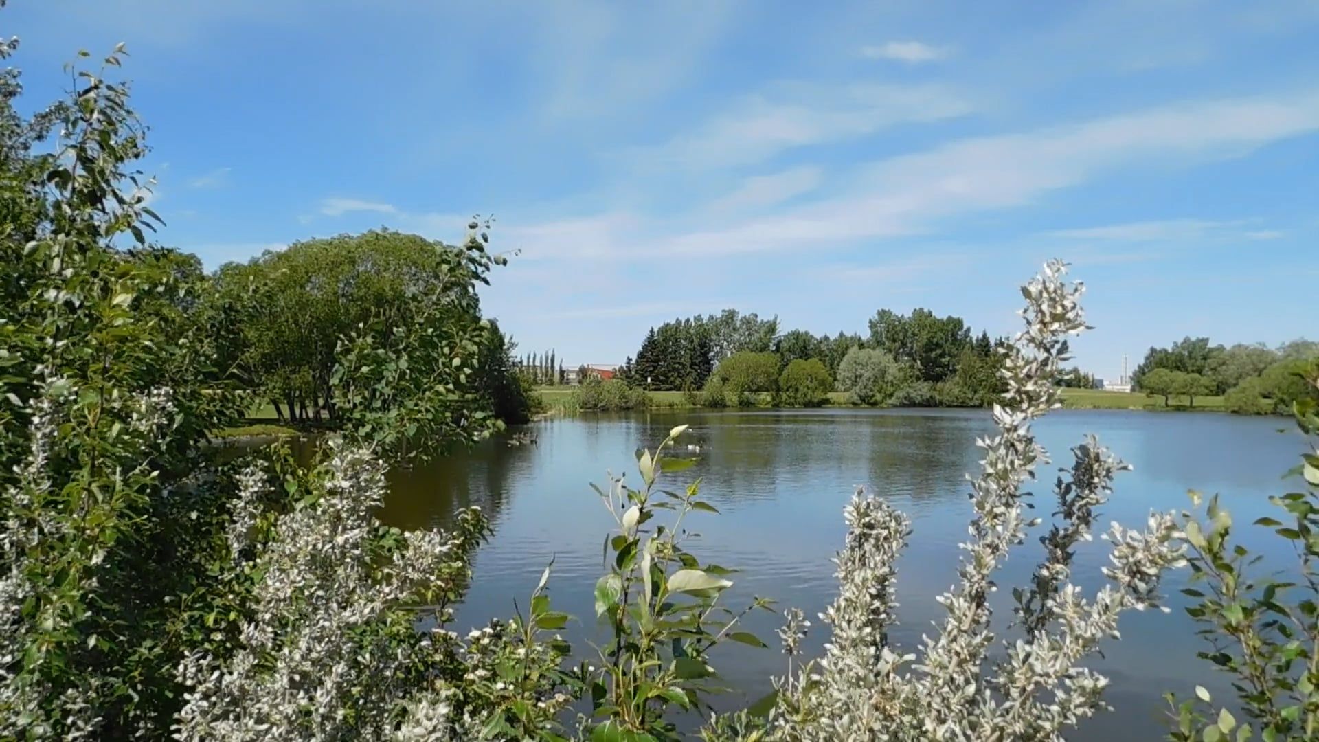 Windy Day At A Lake Free Stock Video Footage, Royalty-Free 4K & HD ...