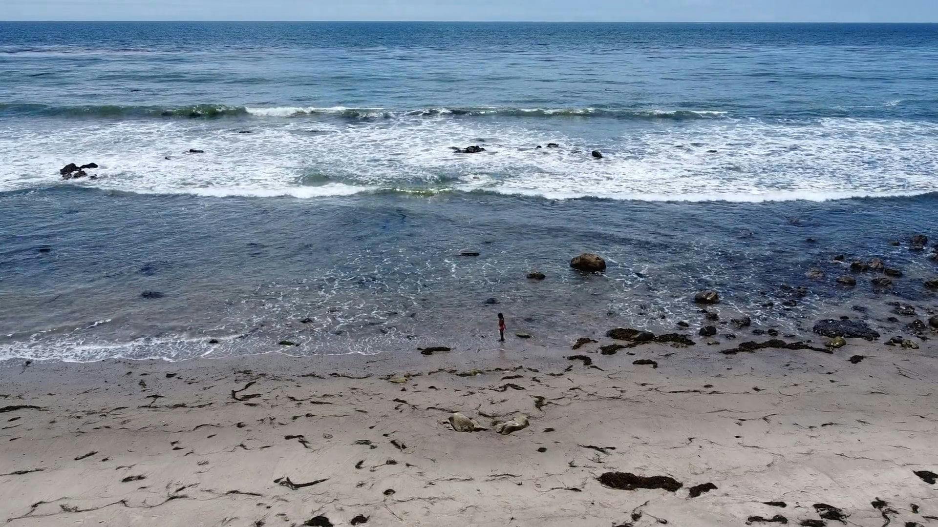 Drone Footage of Beach Free Stock Video Footage, Royalty-Free 4K & HD ...