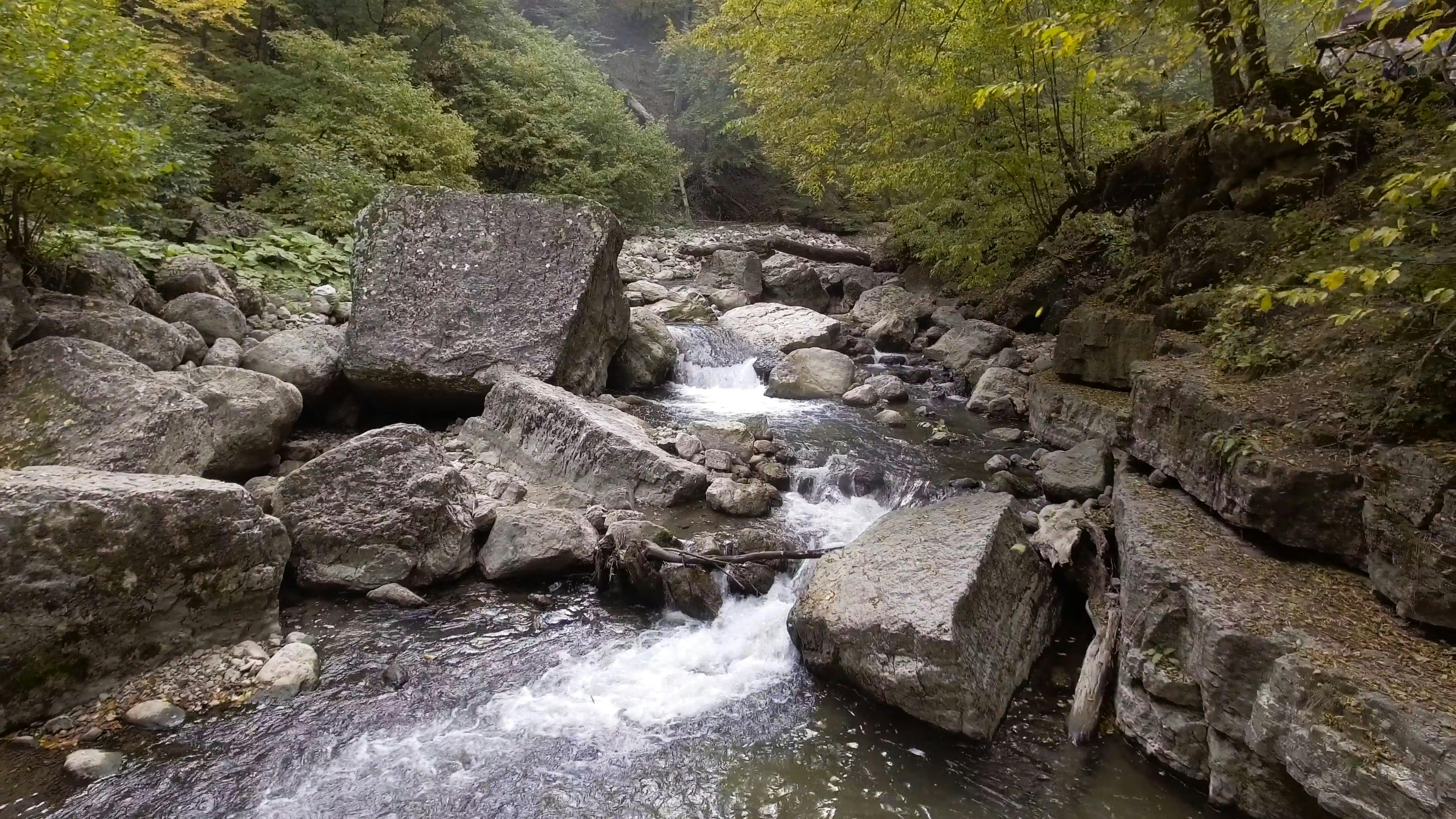 A Rocky River in the Forest Free Stock Video Footage, Royalty-Free 4K ...