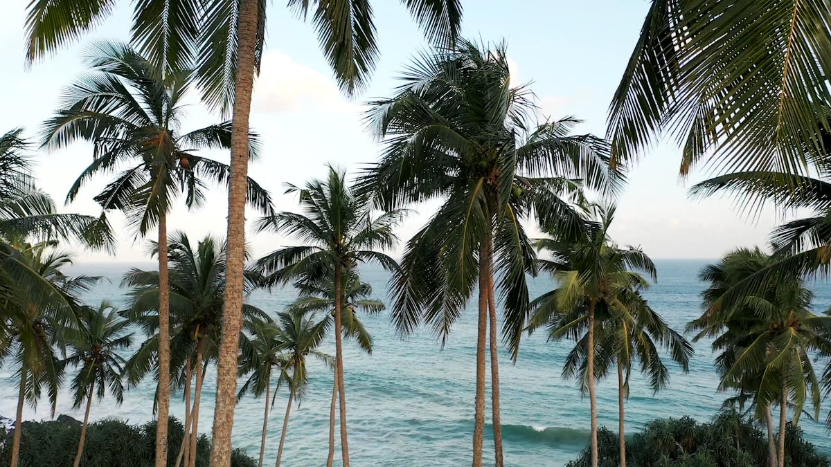 Calm Nature Videos, Download The BEST Free 4k Stock Video Footage ...