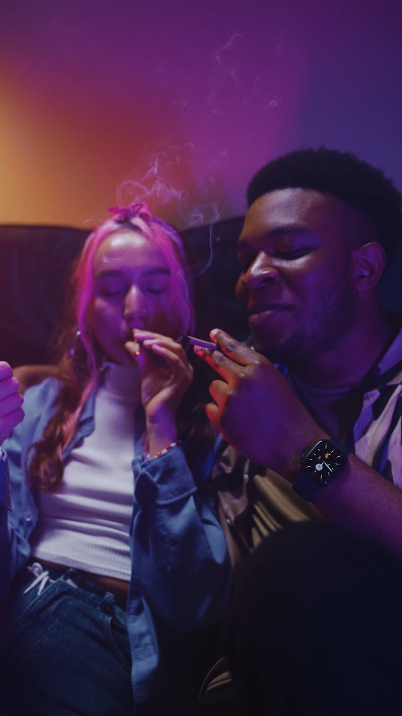 Smoking Weed Videos, Download The BEST Free 4k Stock Video Footage ...