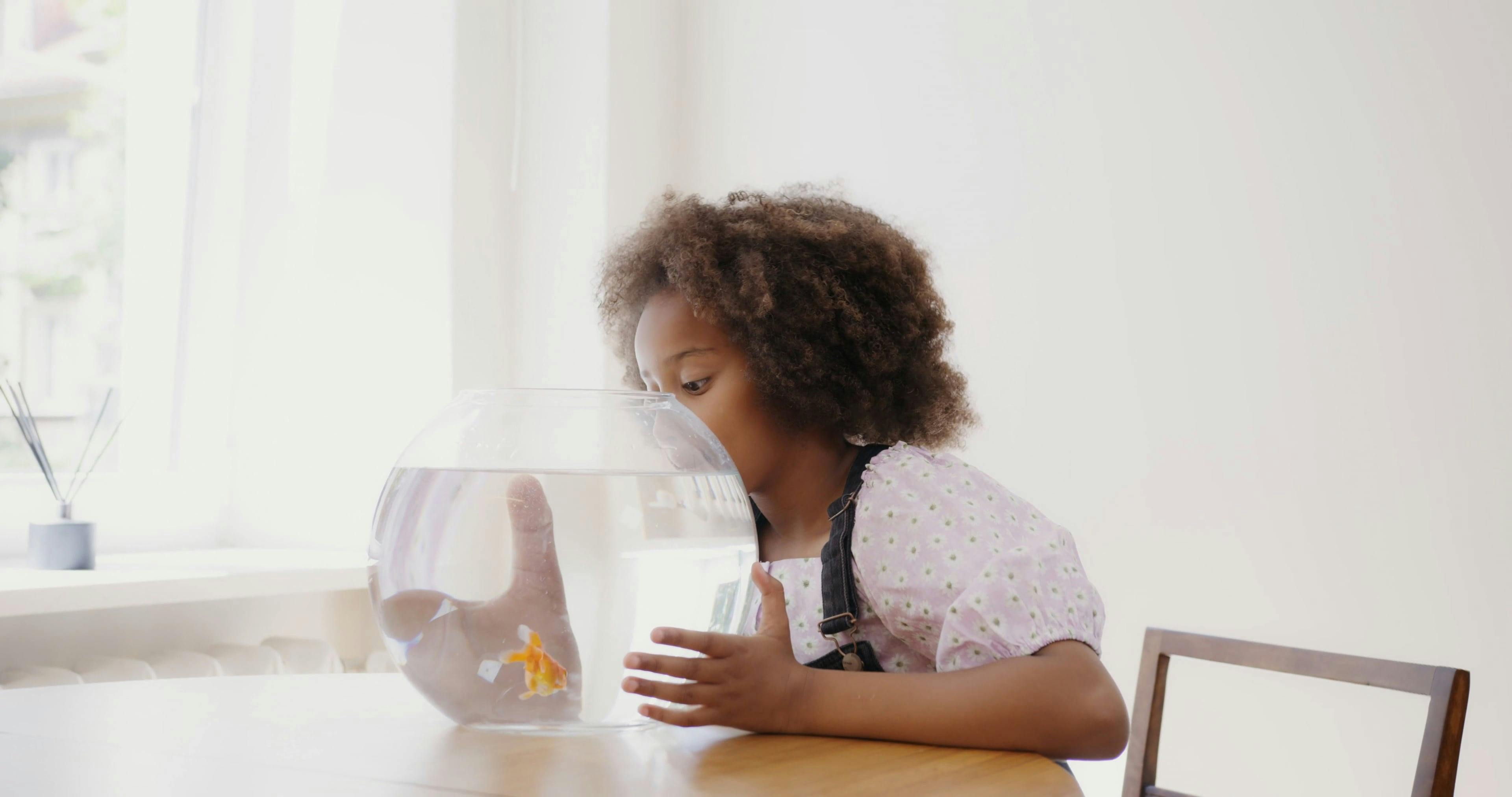 Girl Looking At a Fish Inside a Fish Bowl · Free Stock Video
