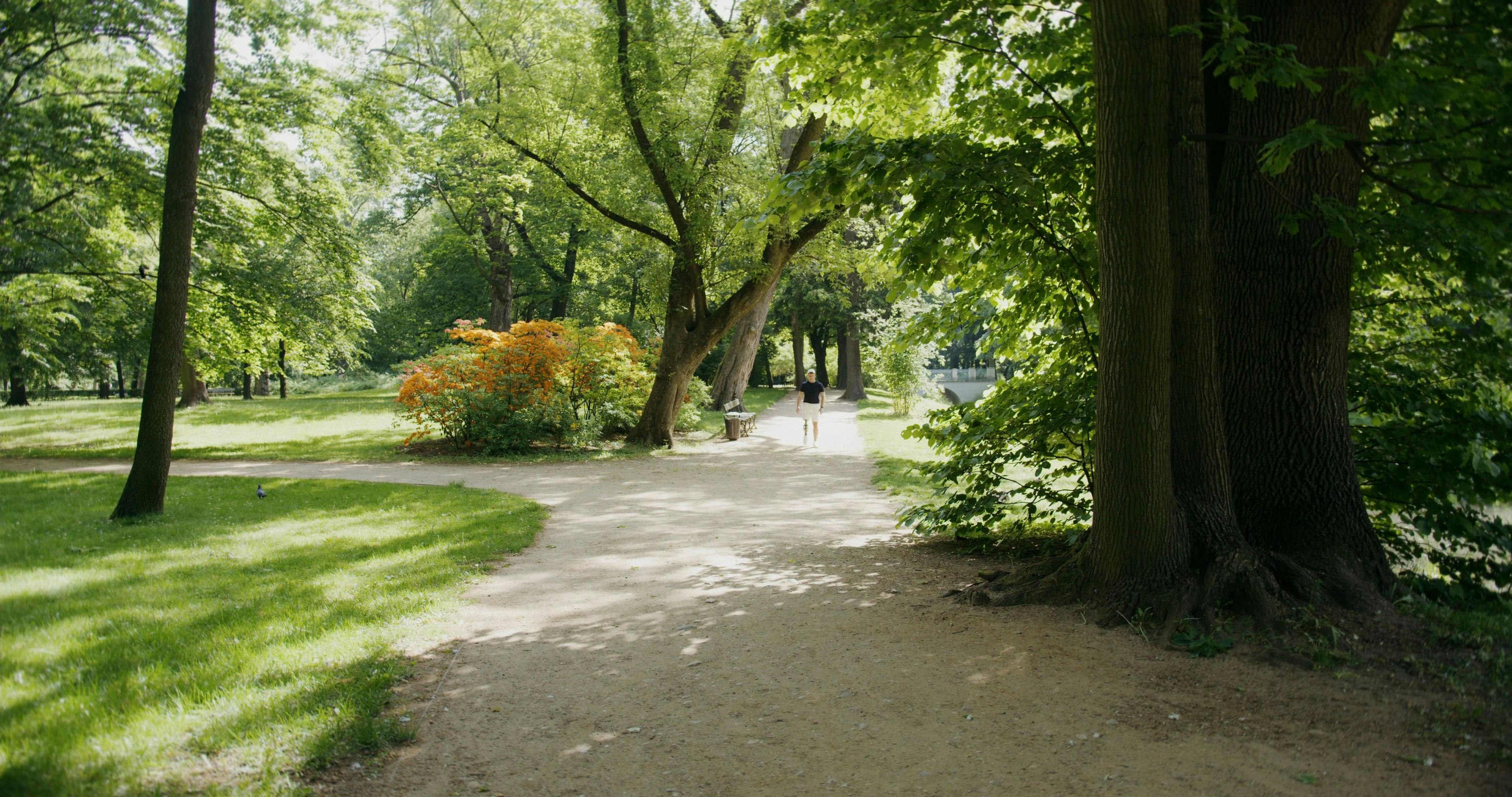 Man Walking on Park · Free Stock Video