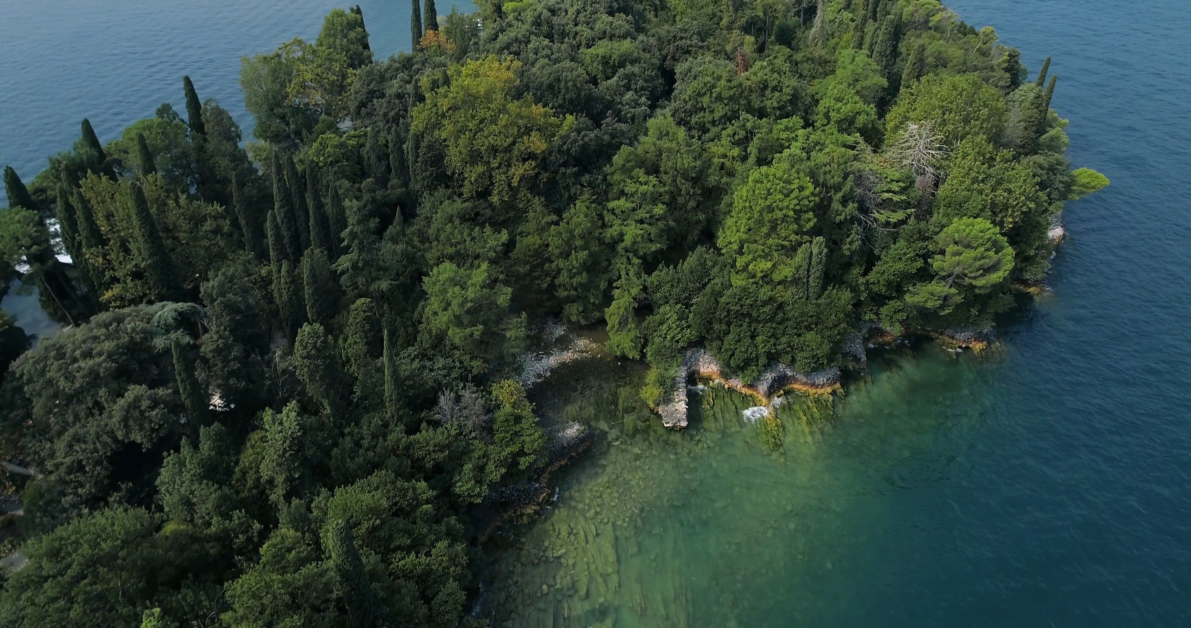 Drone Footage of Trees on an Island Free Stock Video Footage, Royalty ...