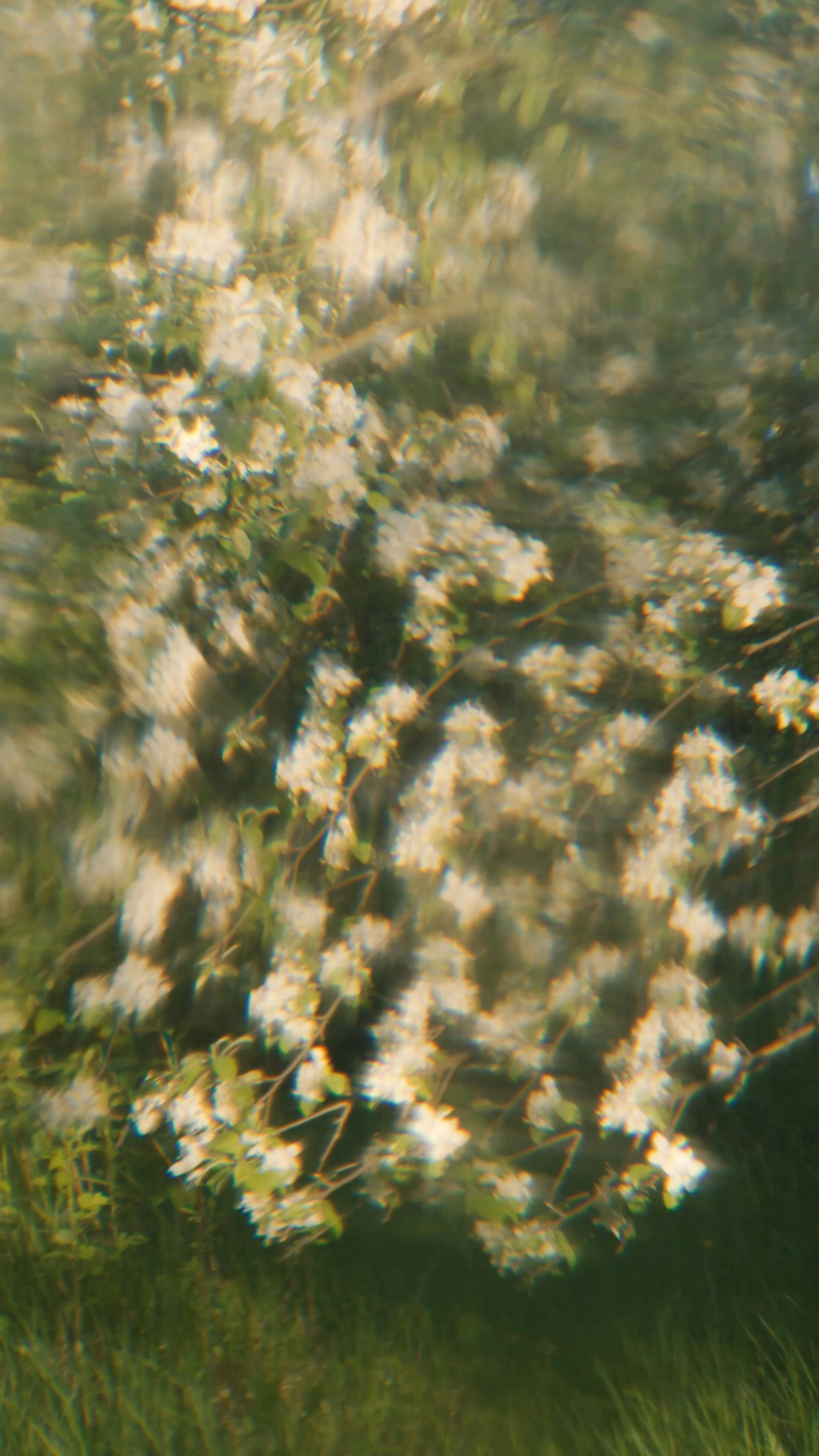 Vignette And Blur Videos, Download The BEST Free 4k Stock Video Footage ...