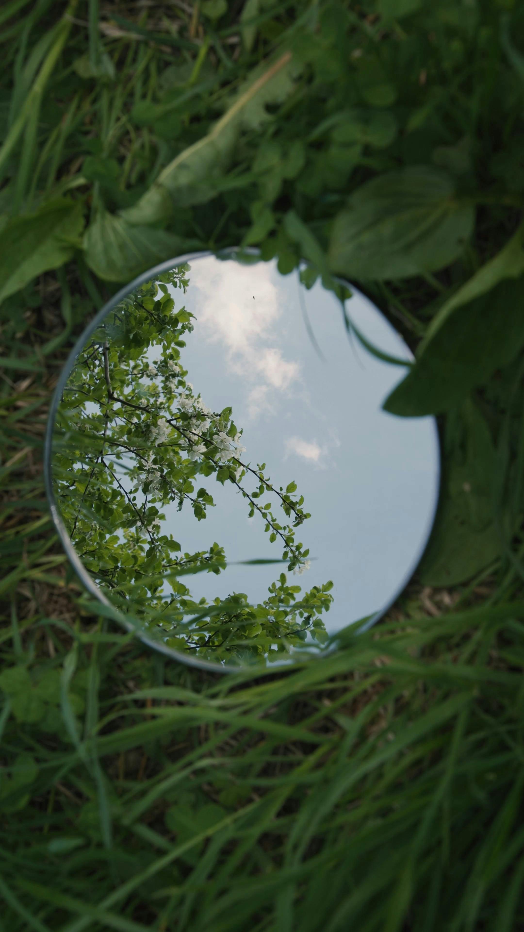 Environmental Art Videos, Download The BEST Free 4k Stock Video Footage ...