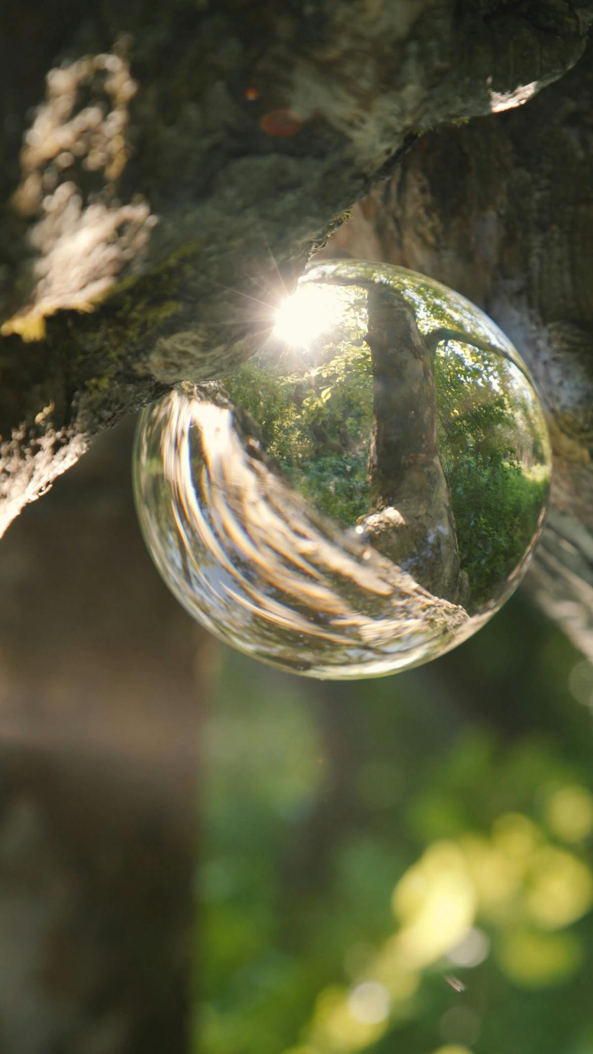 Bokeh Jepang Cantik Videos, Download The BEST Free 4k Stock Video Footage & Bokeh Jepang Cantik ...