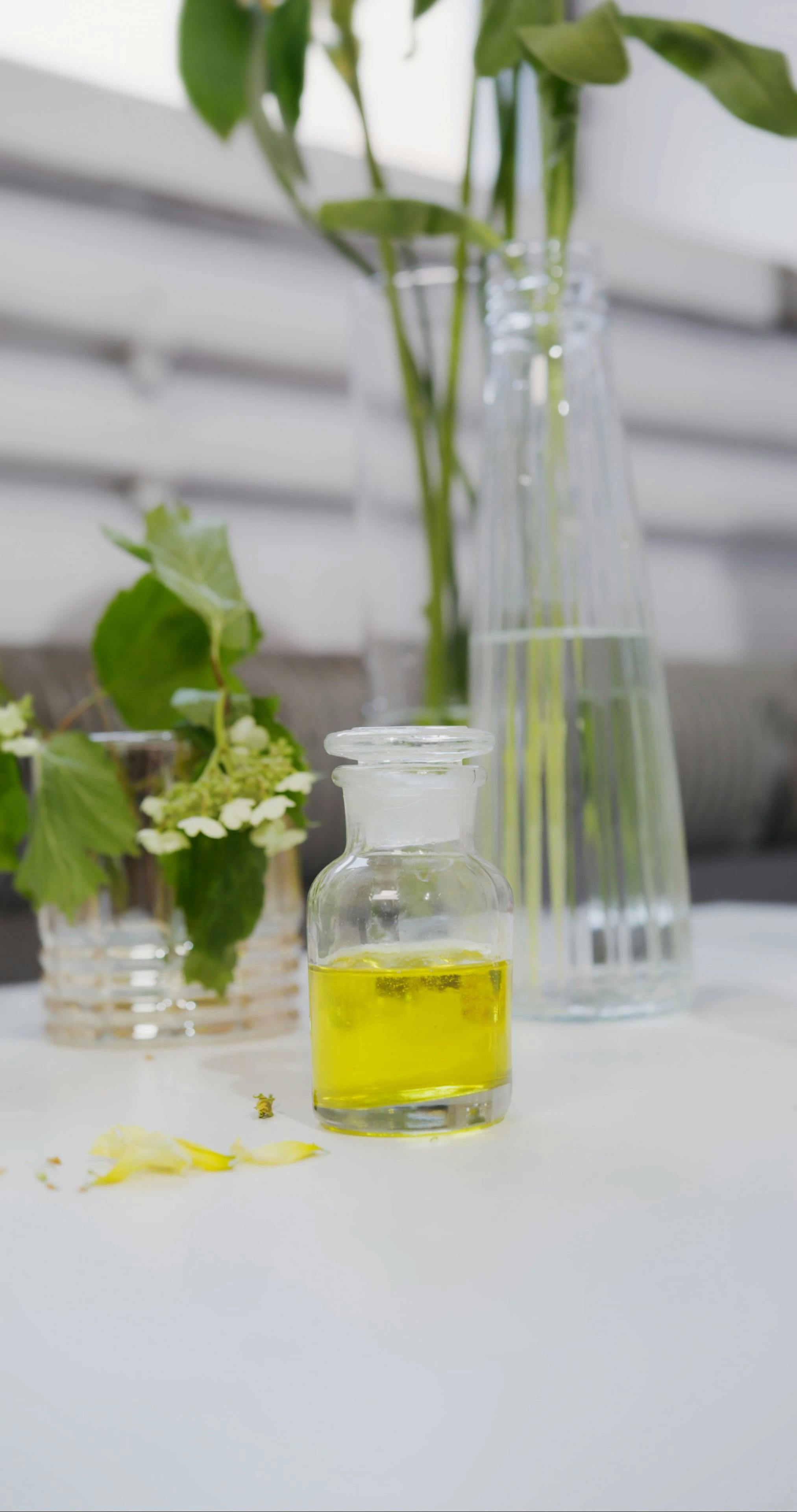 Roses Video Videos, Download The BEST Free 4k Stock Video Footage ...