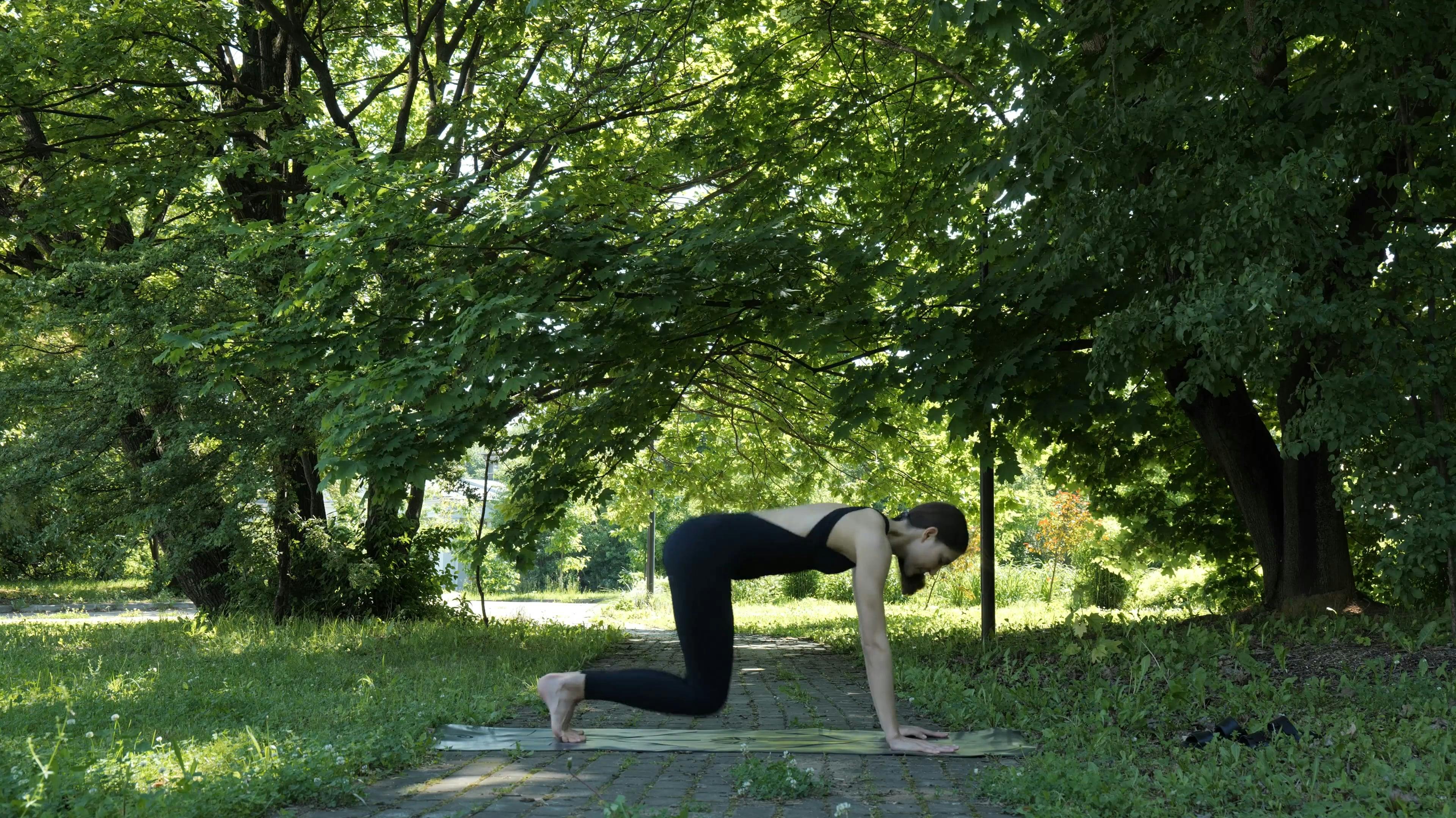 5 Parks Yoga Deep Stretch Videos, Download The BEST Free 4k Stock Video ...