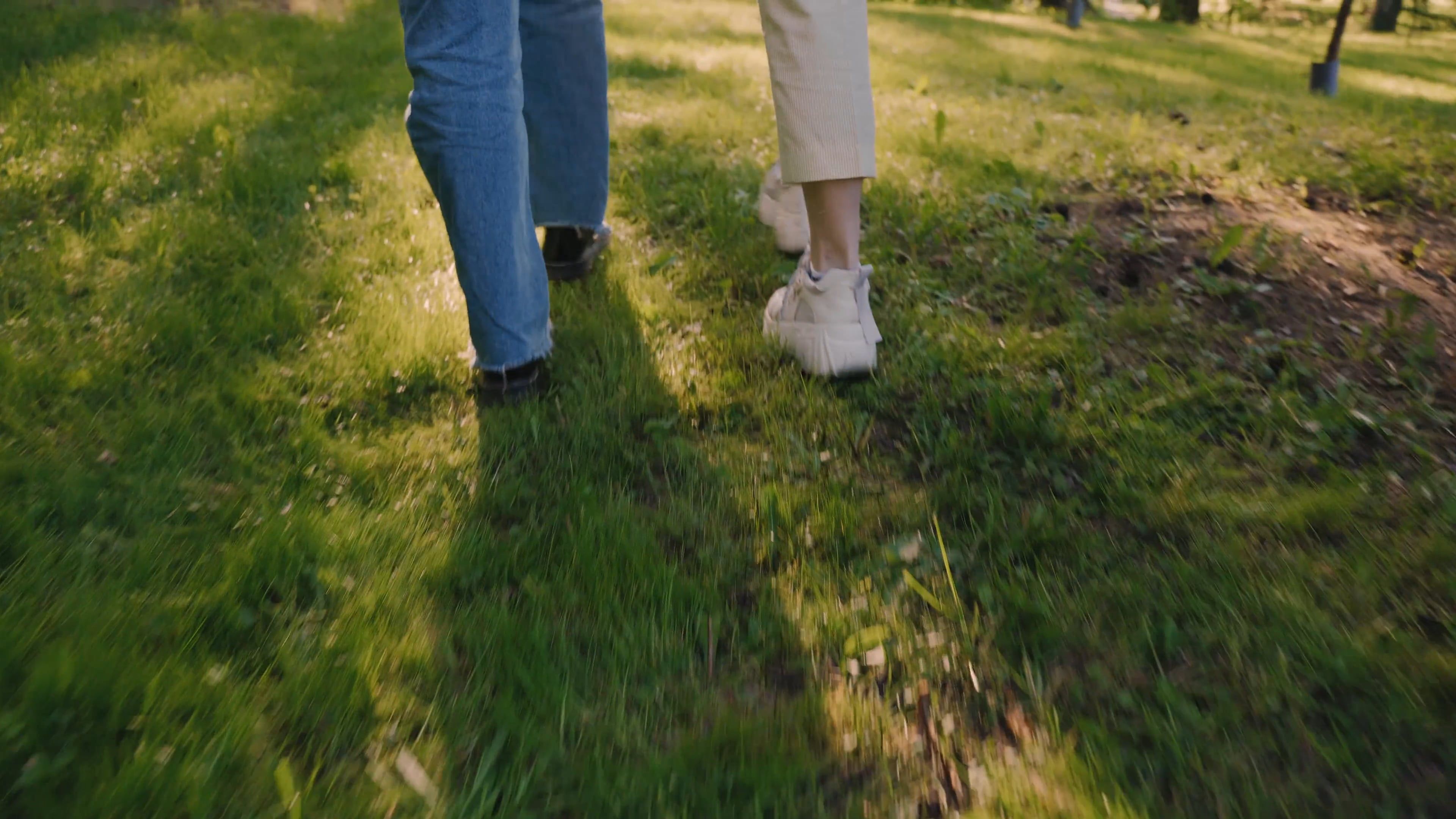 People Walking on Grass · Free Stock Video