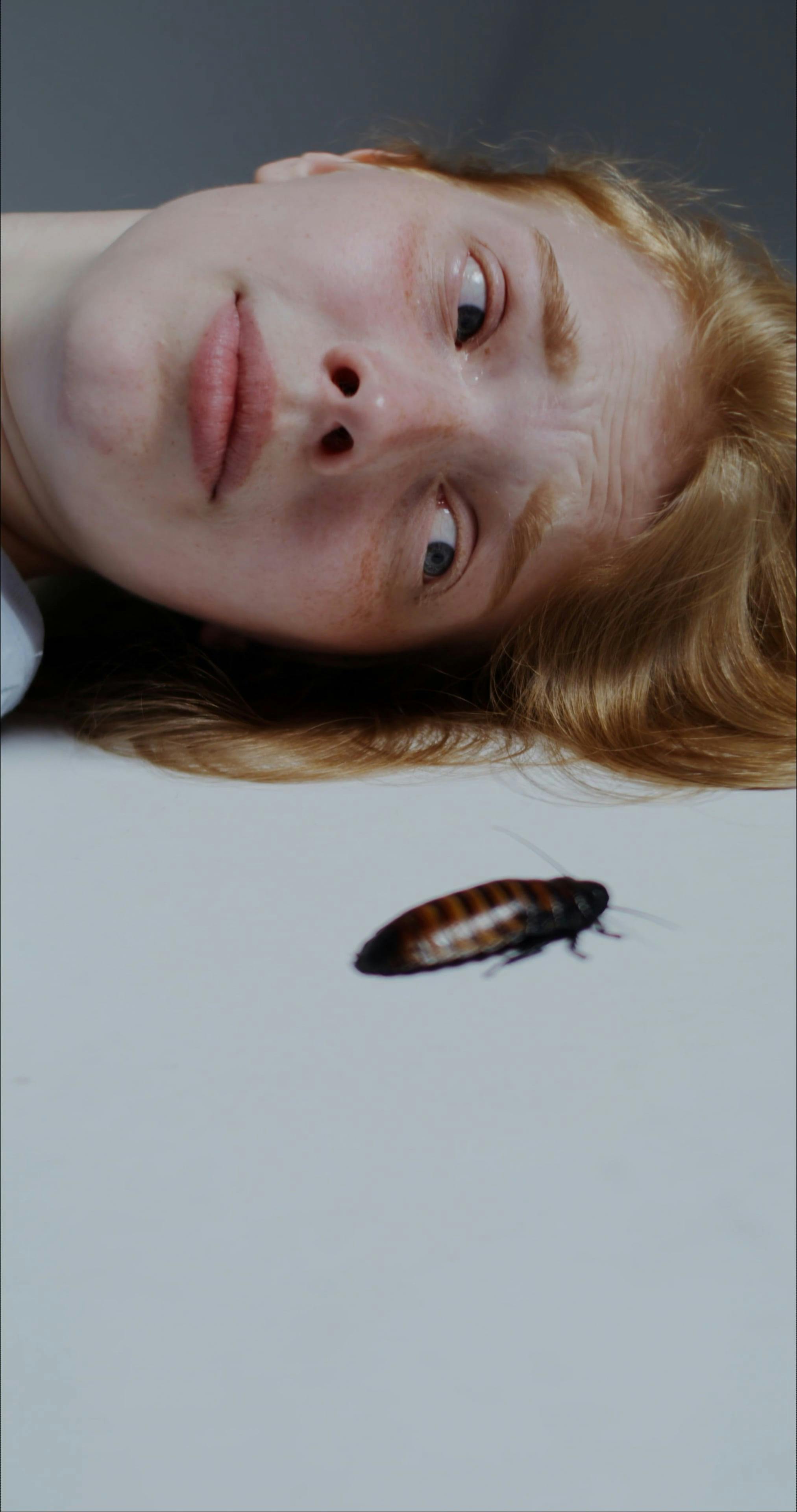 Scared Woman Of A Crawling Insect Free Stock Video Footage, Royalty ...