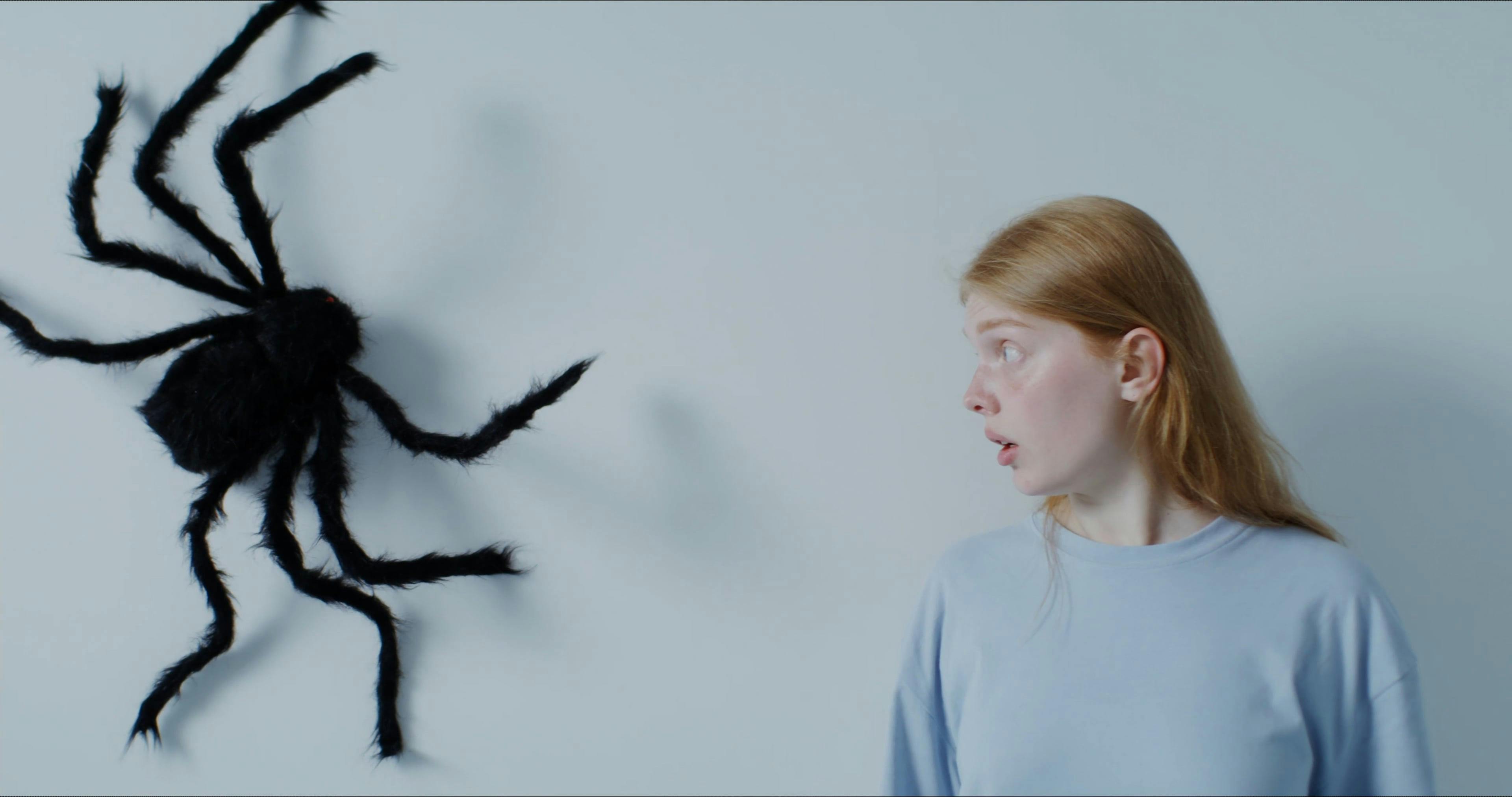 Scared Woman Seeing A Spider Free Stock Video Footage, Royalty-Free 4K ...