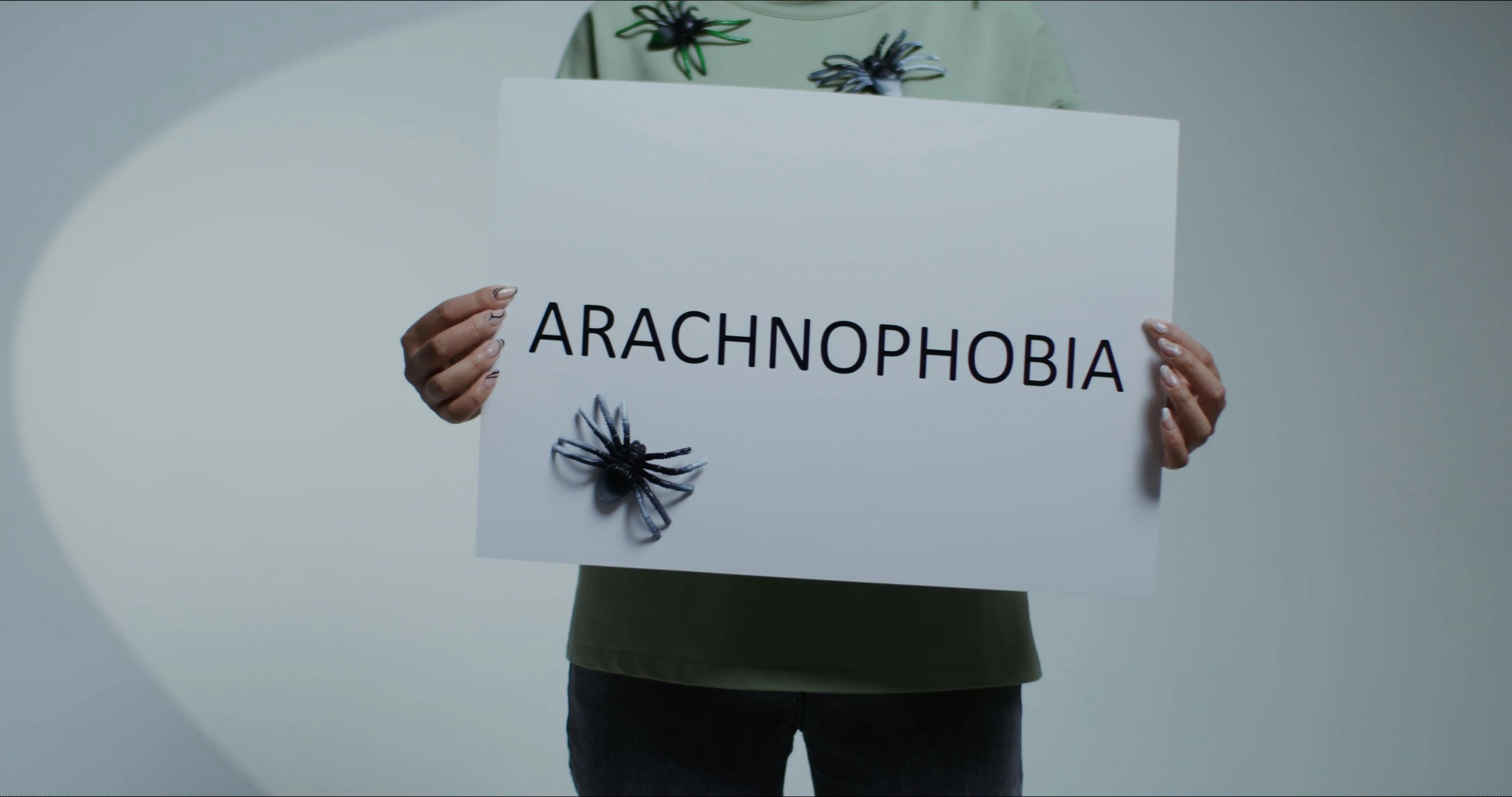 Fear Insects Videos, Download The BEST Free 4k Stock Video Footage ...