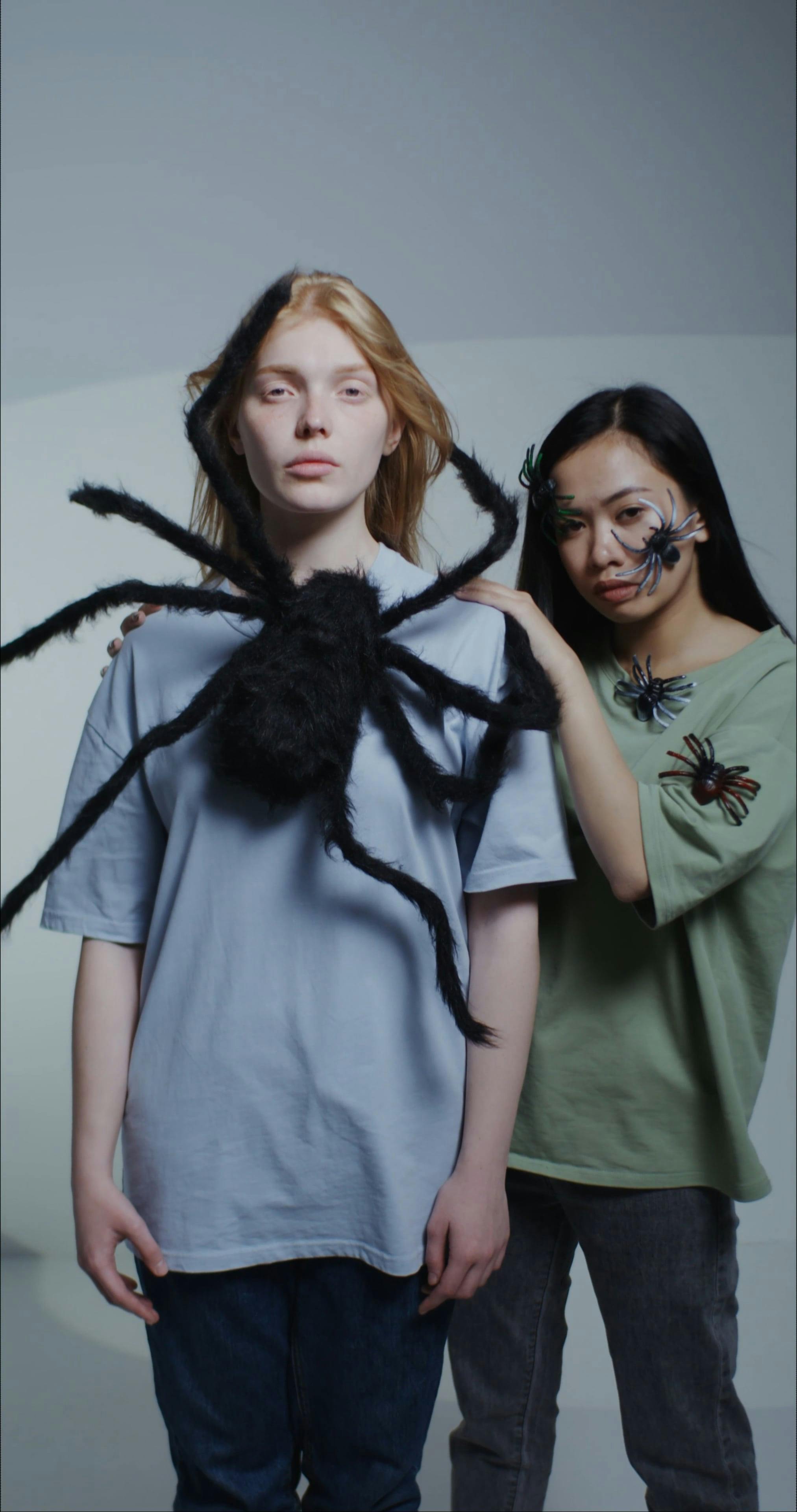 Giant Spiders Videos, Download The BEST Free 4k Stock Video Footage ...