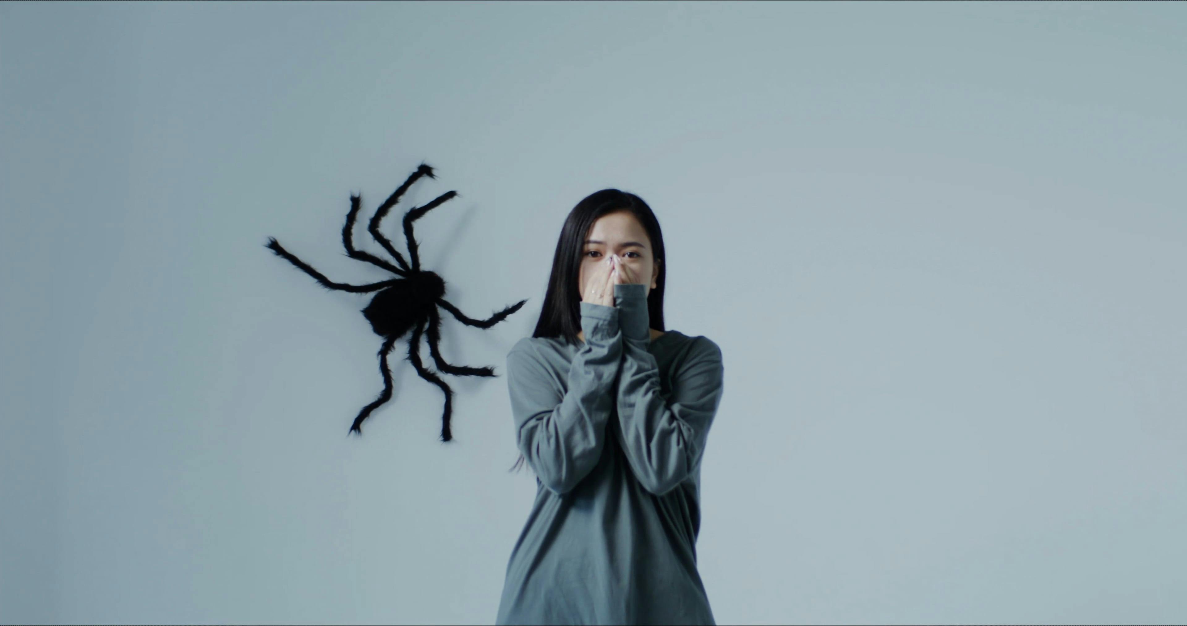 Woman Showing Fear Of Spider On Wall · Free Stock Video