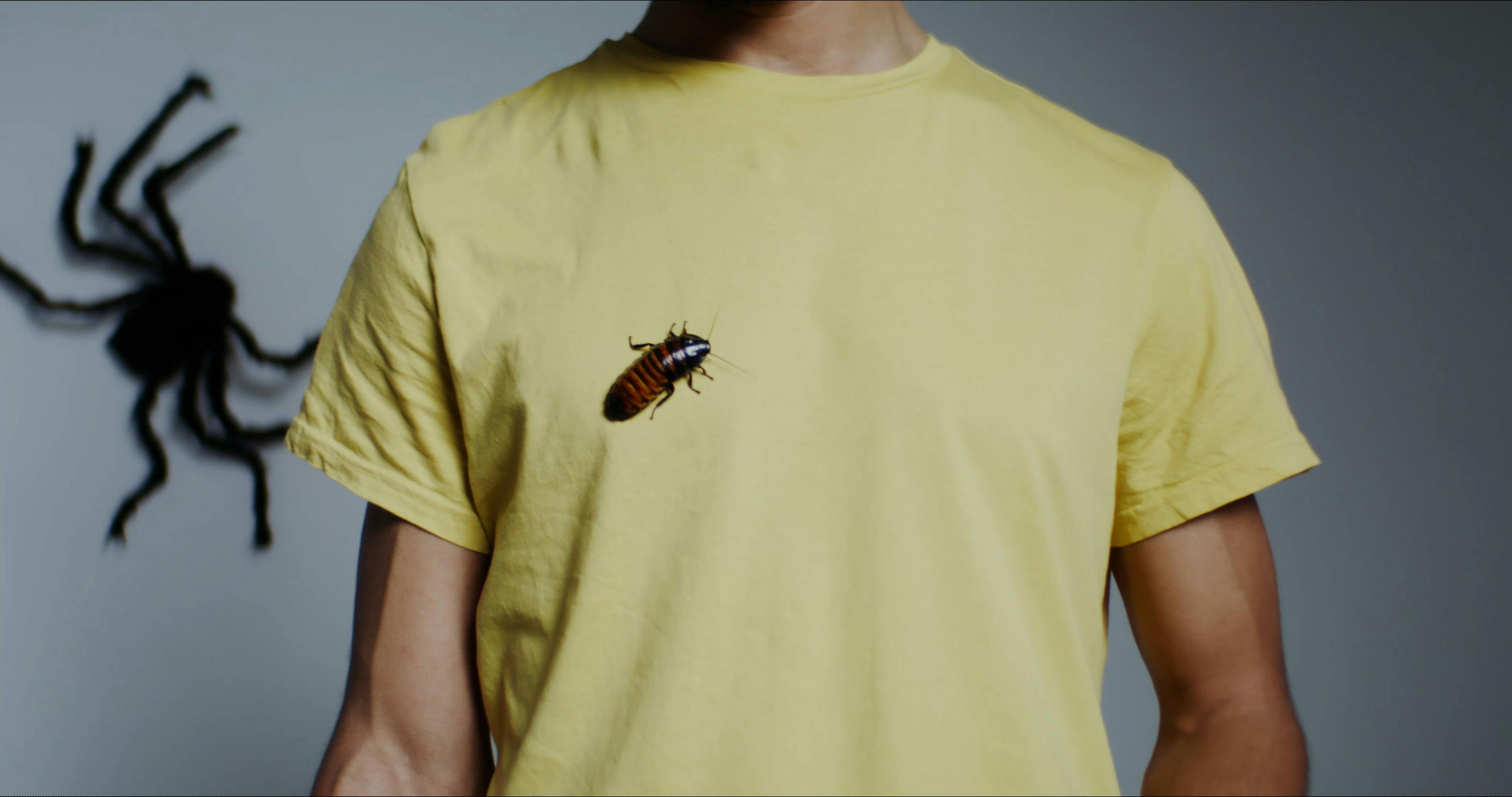 Man Having Fear Of Crawling Insects Free Stock Video Footage, Royalty ...