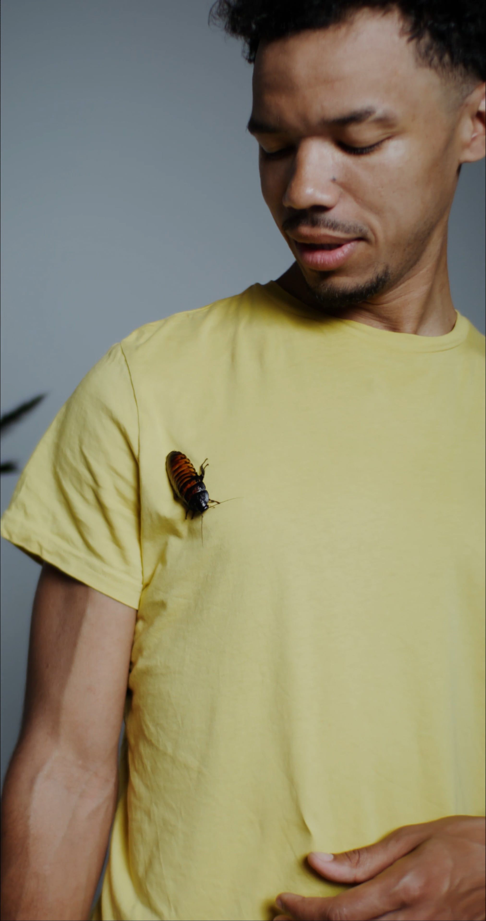 Man In Yellow Shirt With Insect Crawling On Him Free Stock Video ...