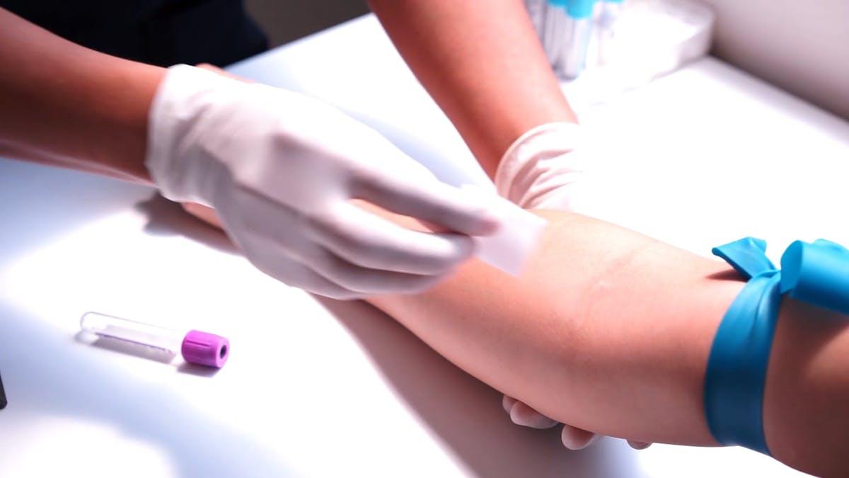 Sample Videos, Download The BEST Free 4k Stock Video Footage & Sample ...