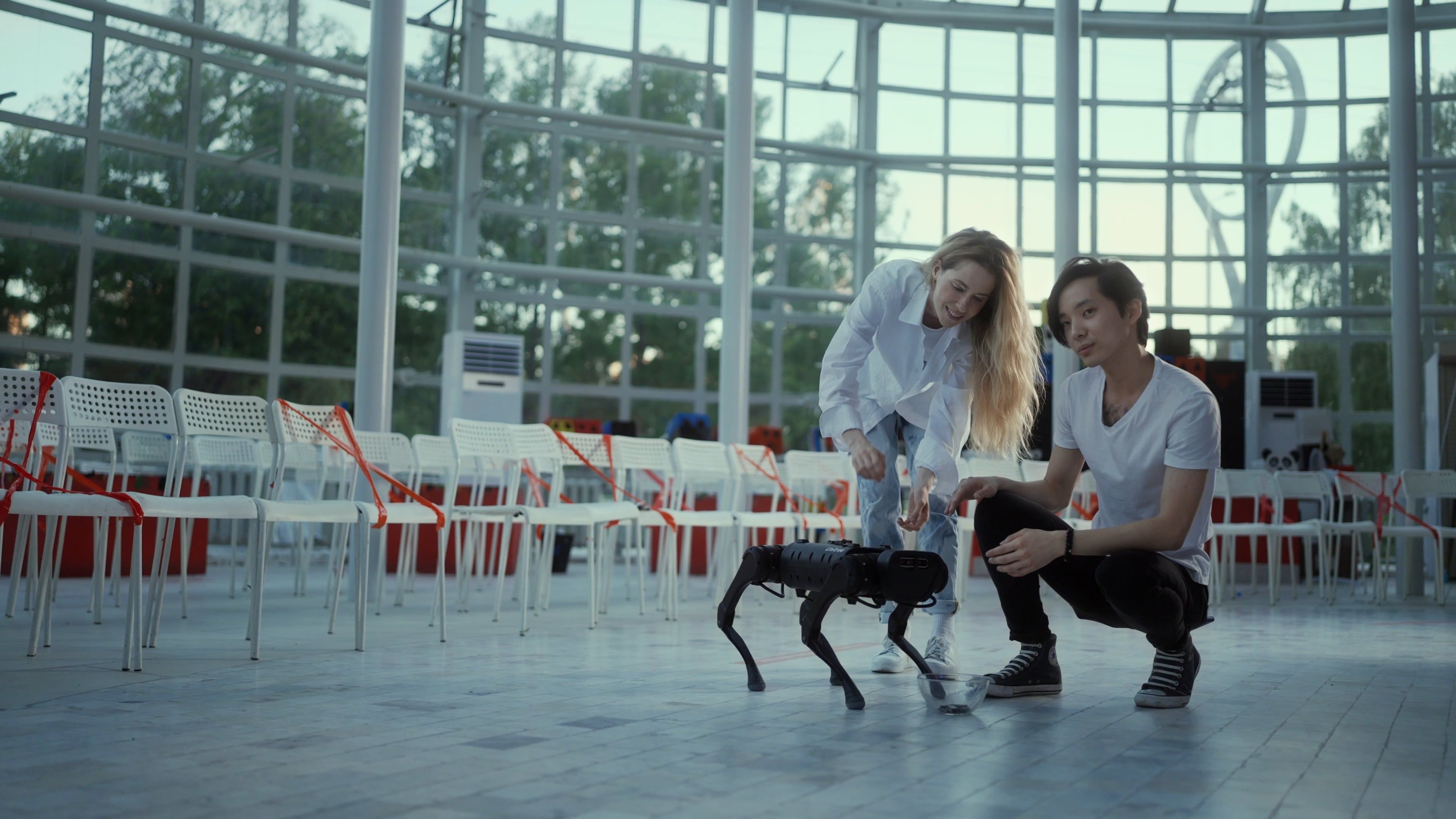 Video of Friends Petting the Robot Dog Free Stock Video Footage ...