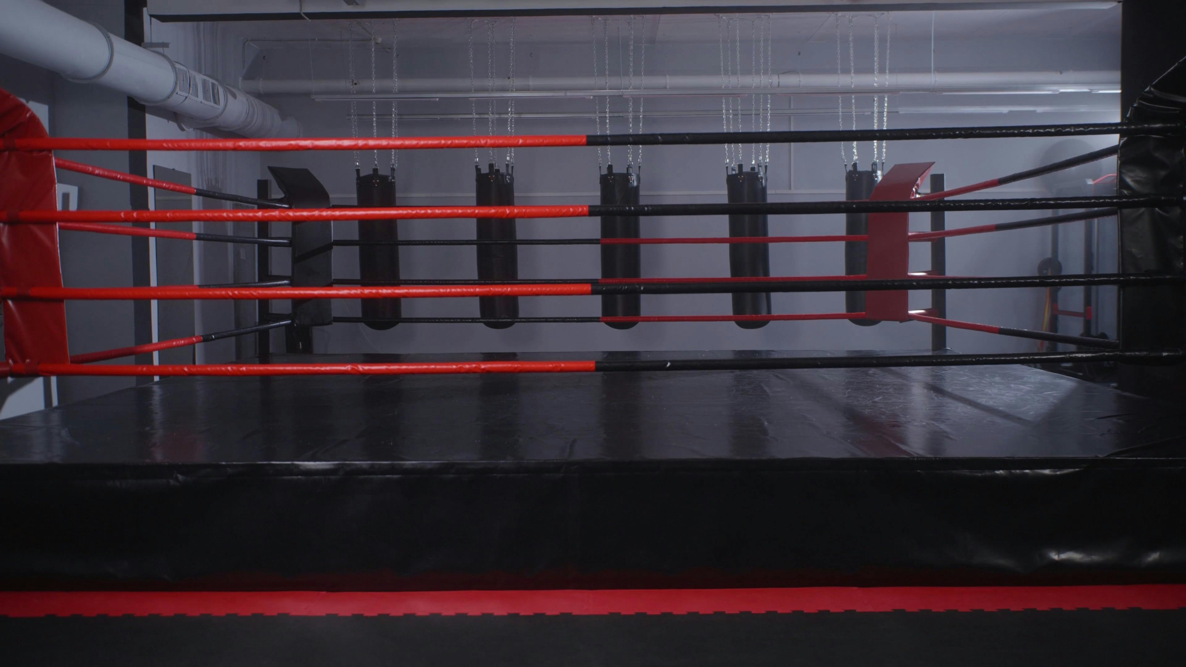 Boxing Athleisure Videos, Download The BEST Free 4k Stock Video Footage ...