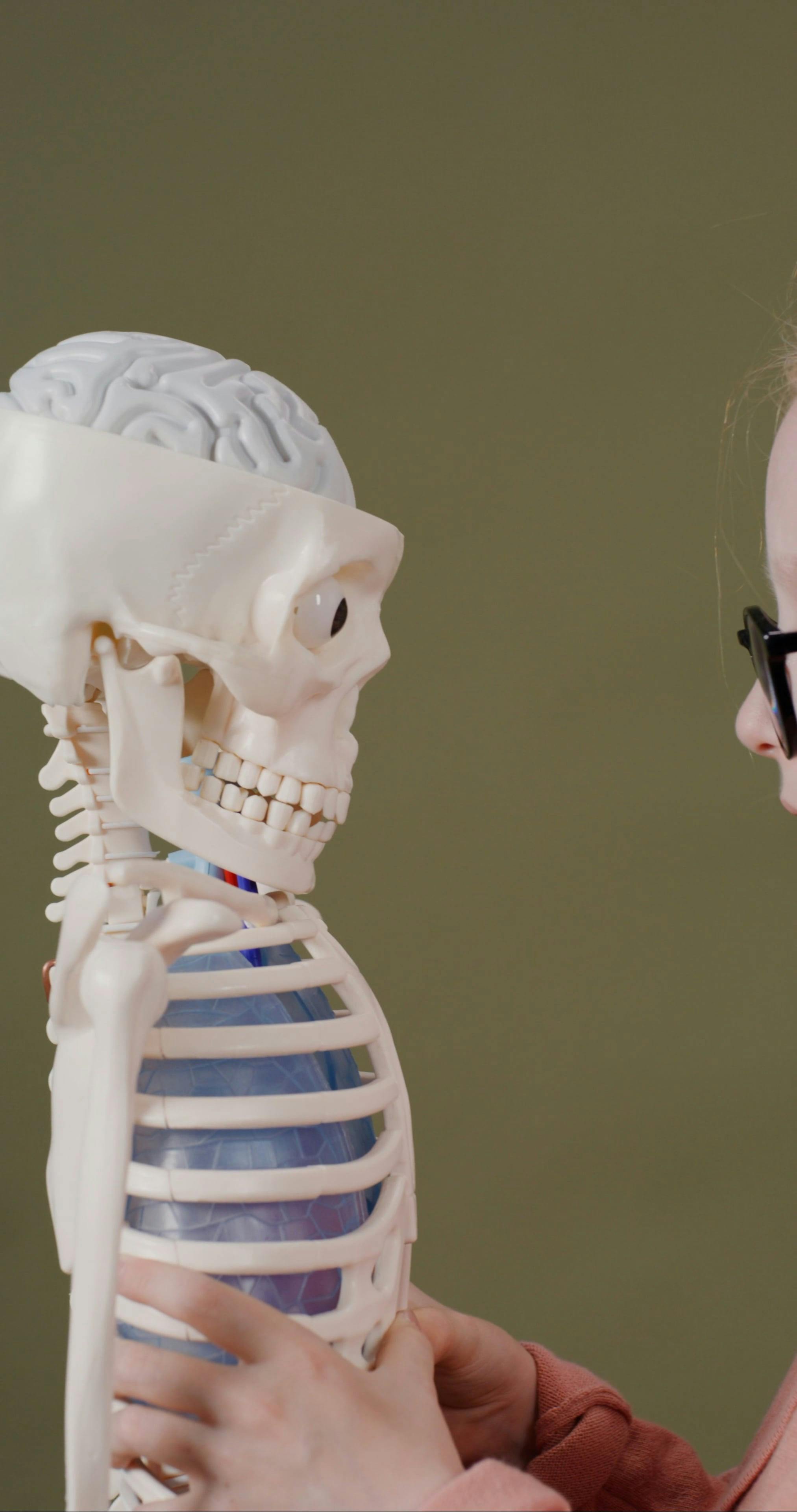 Anatomy Stem Videos Videos, Download The BEST Free 4k Stock Video ...