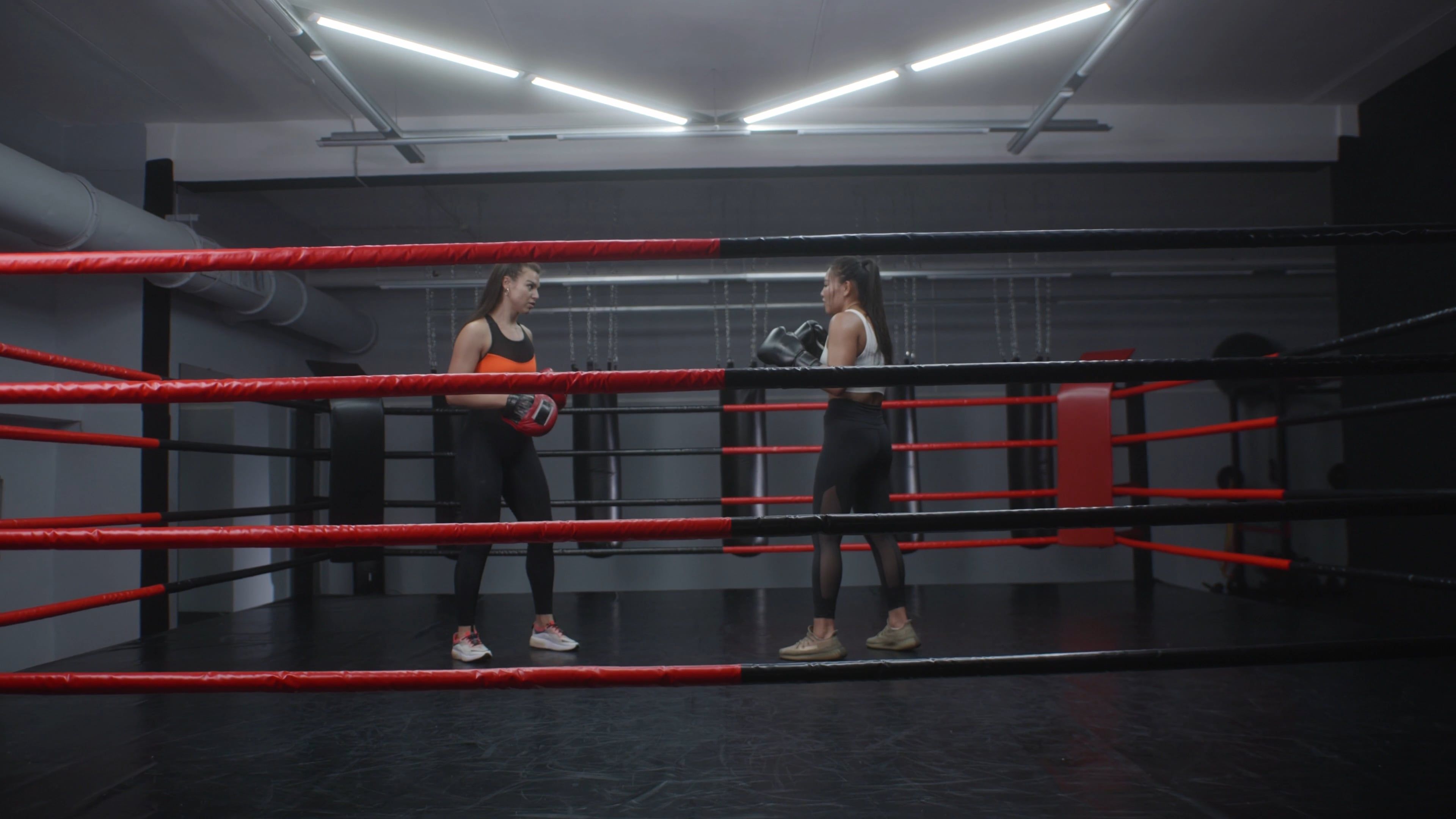 Coach Training a Boxer Free Stock Video Footage, Royalty-Free 4K & HD ...