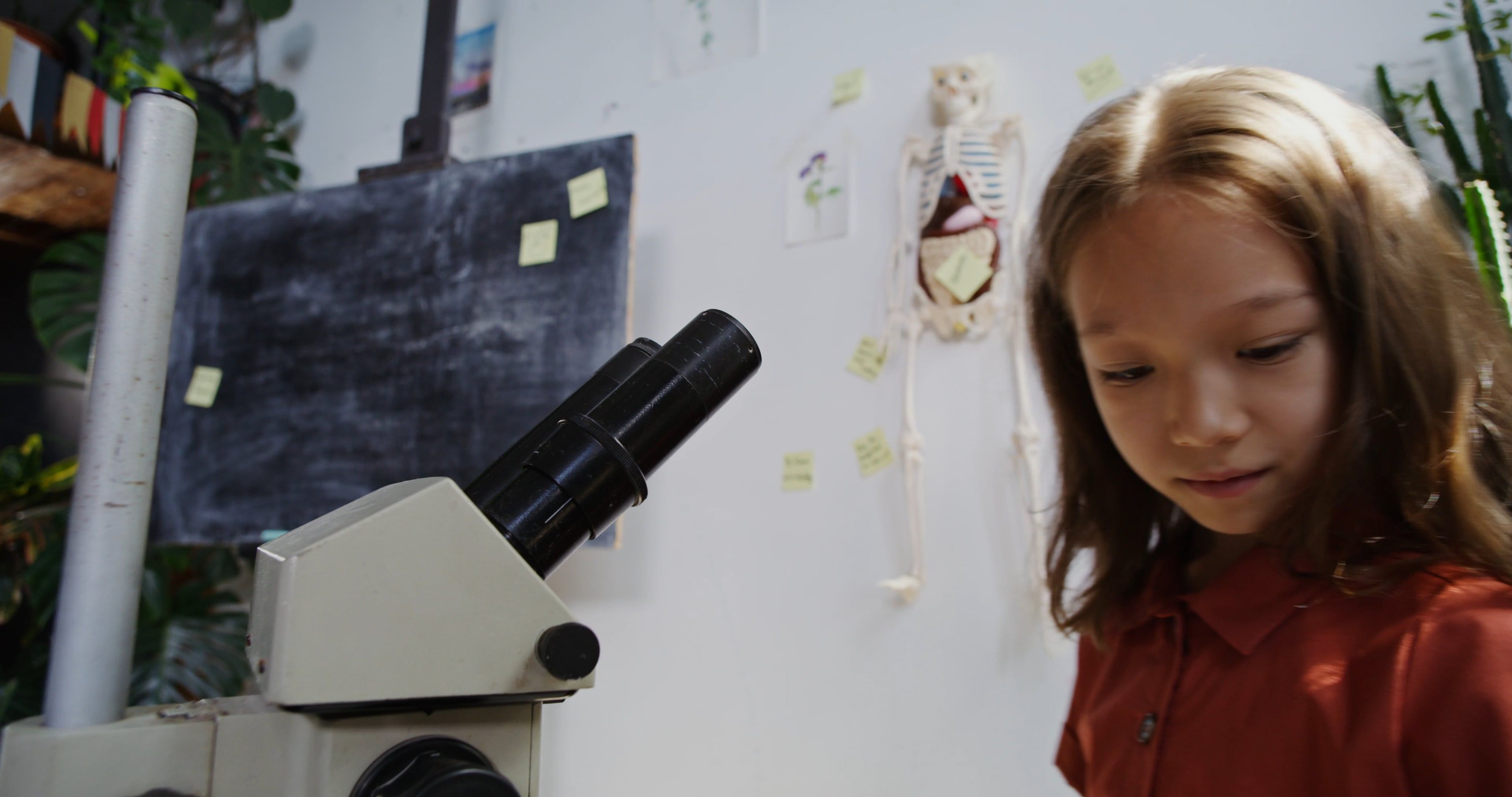 Biology Science Fair Videos, Download The BEST Free 4k Stock Video ...